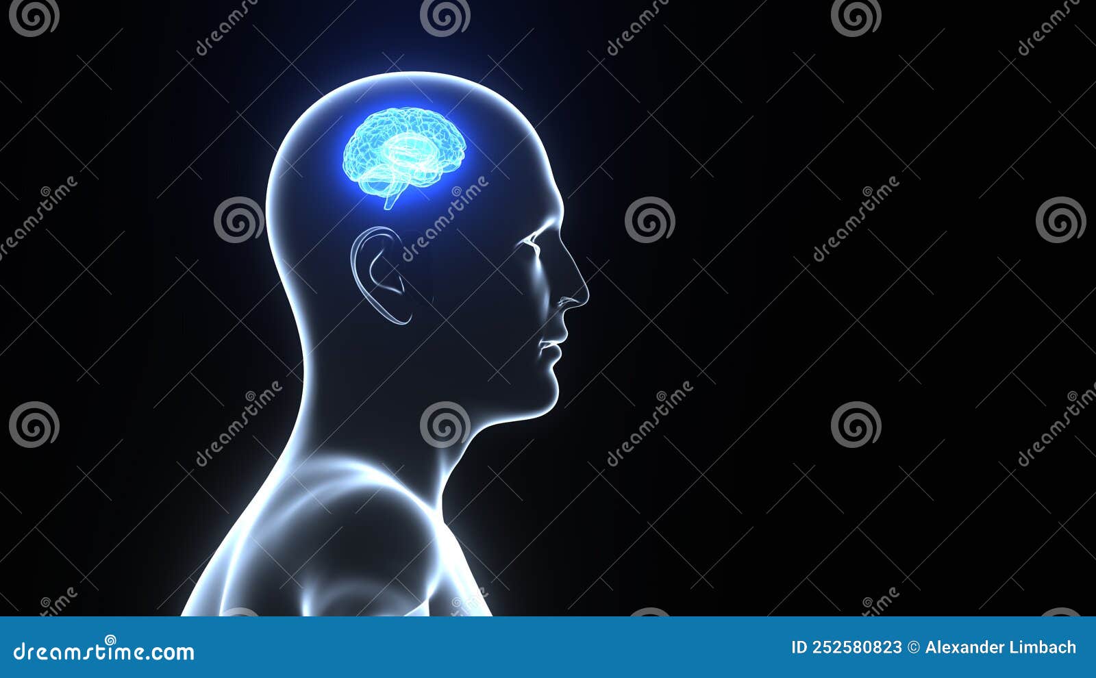 Stupid Man stock illustration. Illustration of anatomy - 252580823