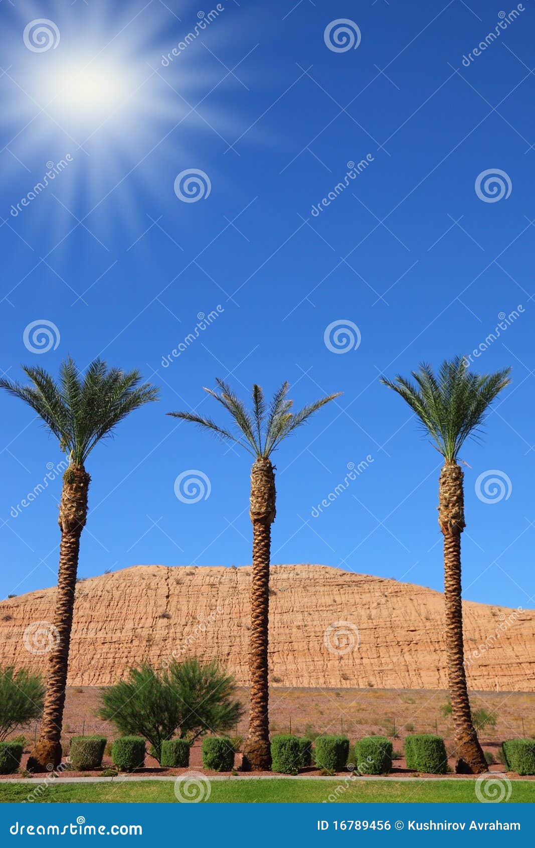 Shining Sun Above the Oasis Stock Photo - Image of american, orange ...