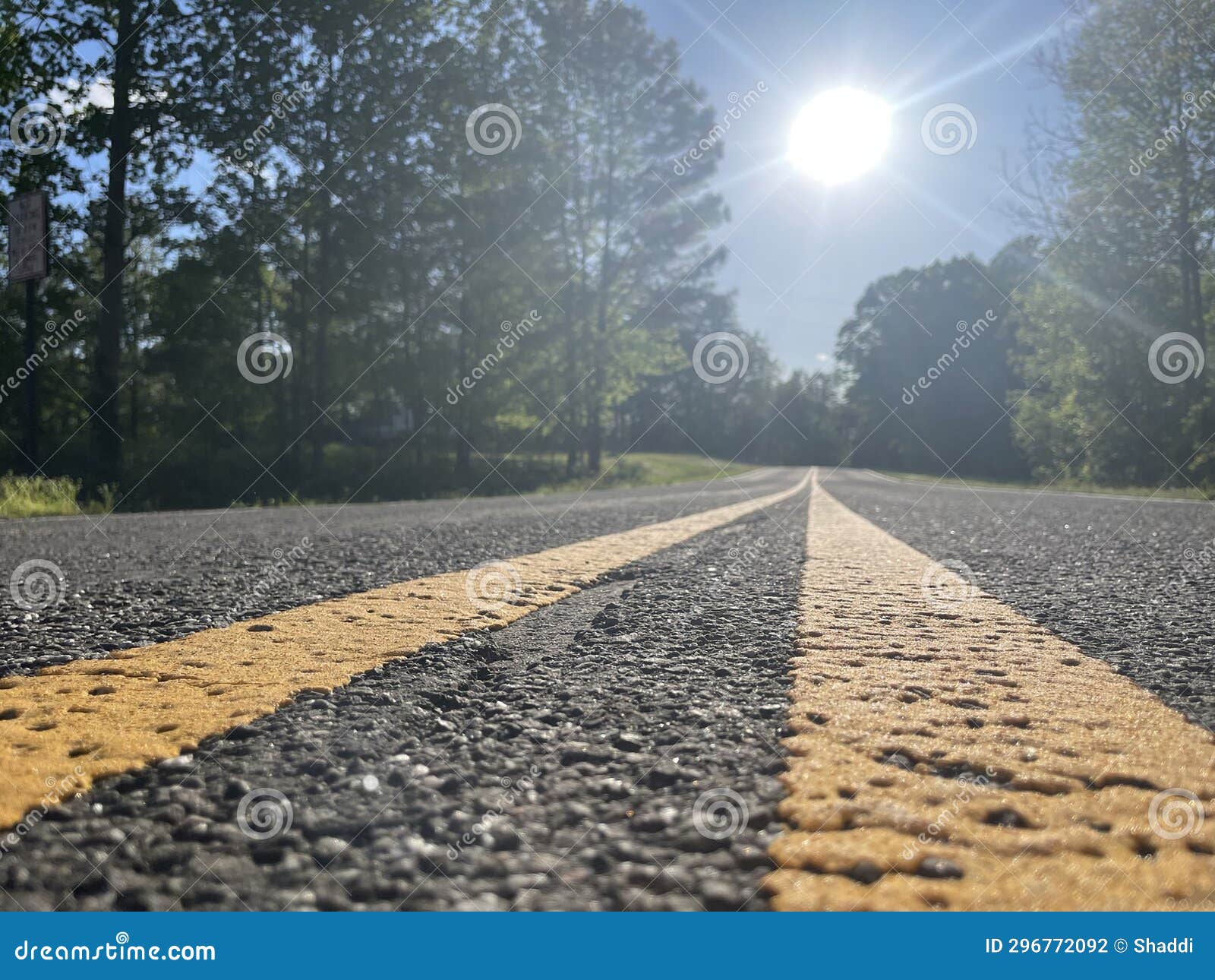 Shining Sun on Country Road Stock Photo - Image of sunset, forest ...