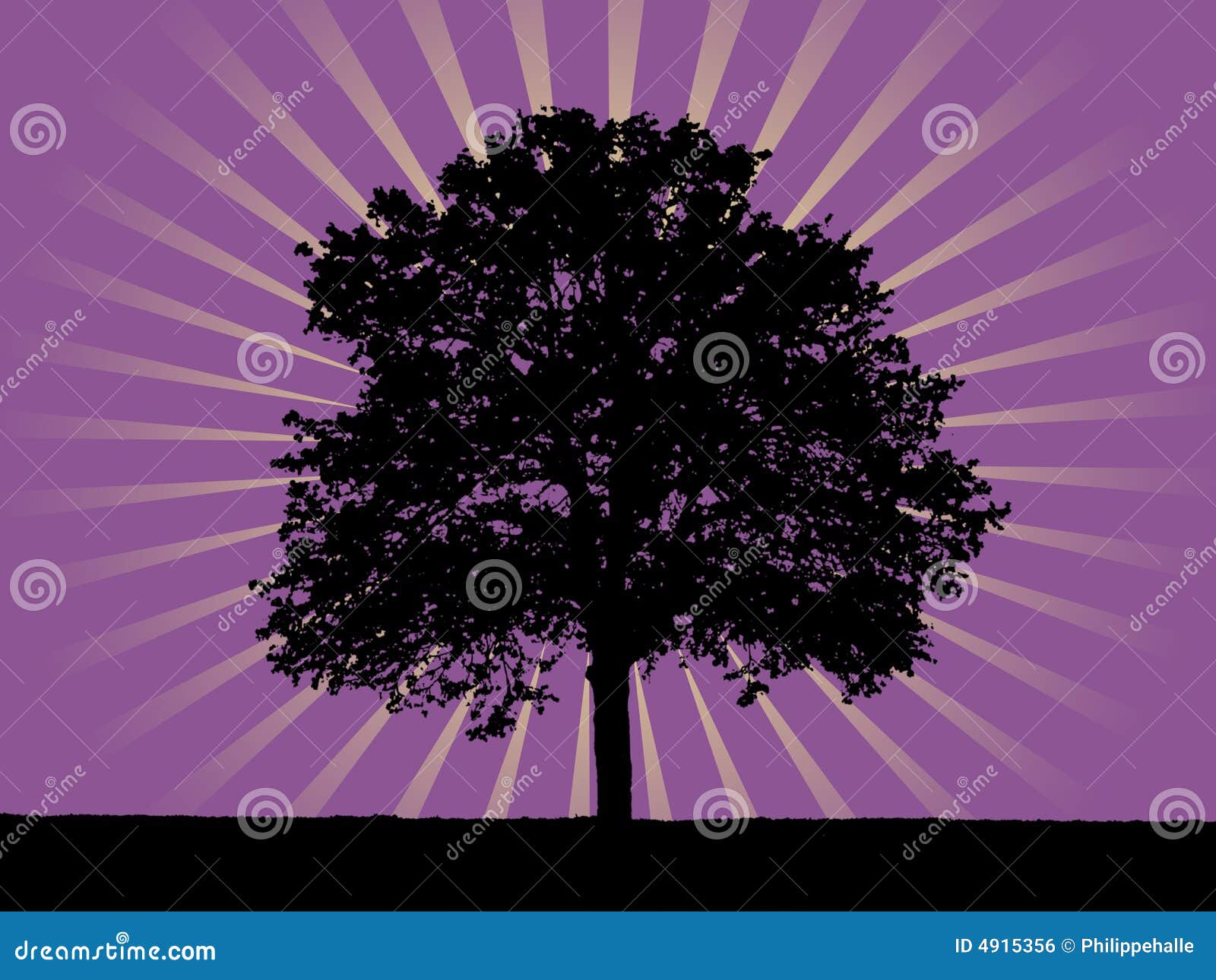Shining tree stock illustration. Illustration of sunshine - 4915356