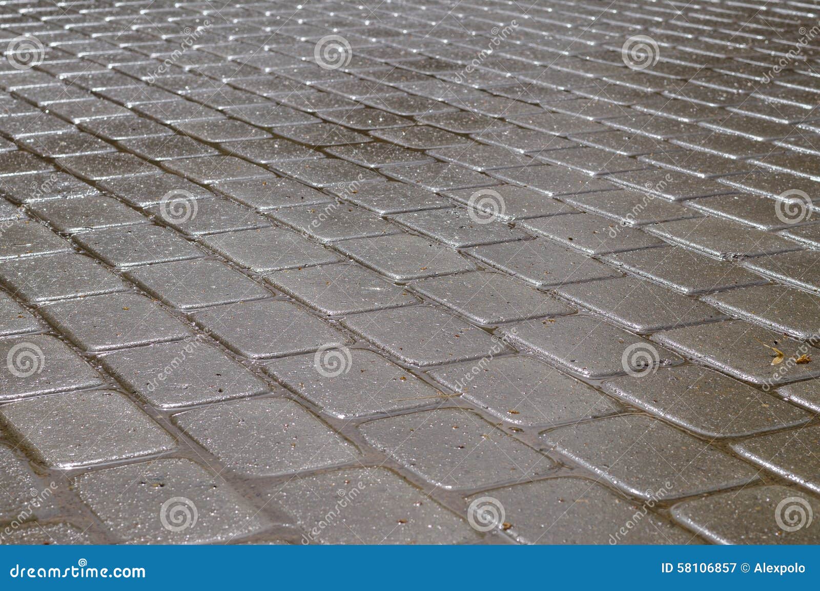 Shining Wet Rectangular Tiled Stone Pavement Stock Image - Image of ...