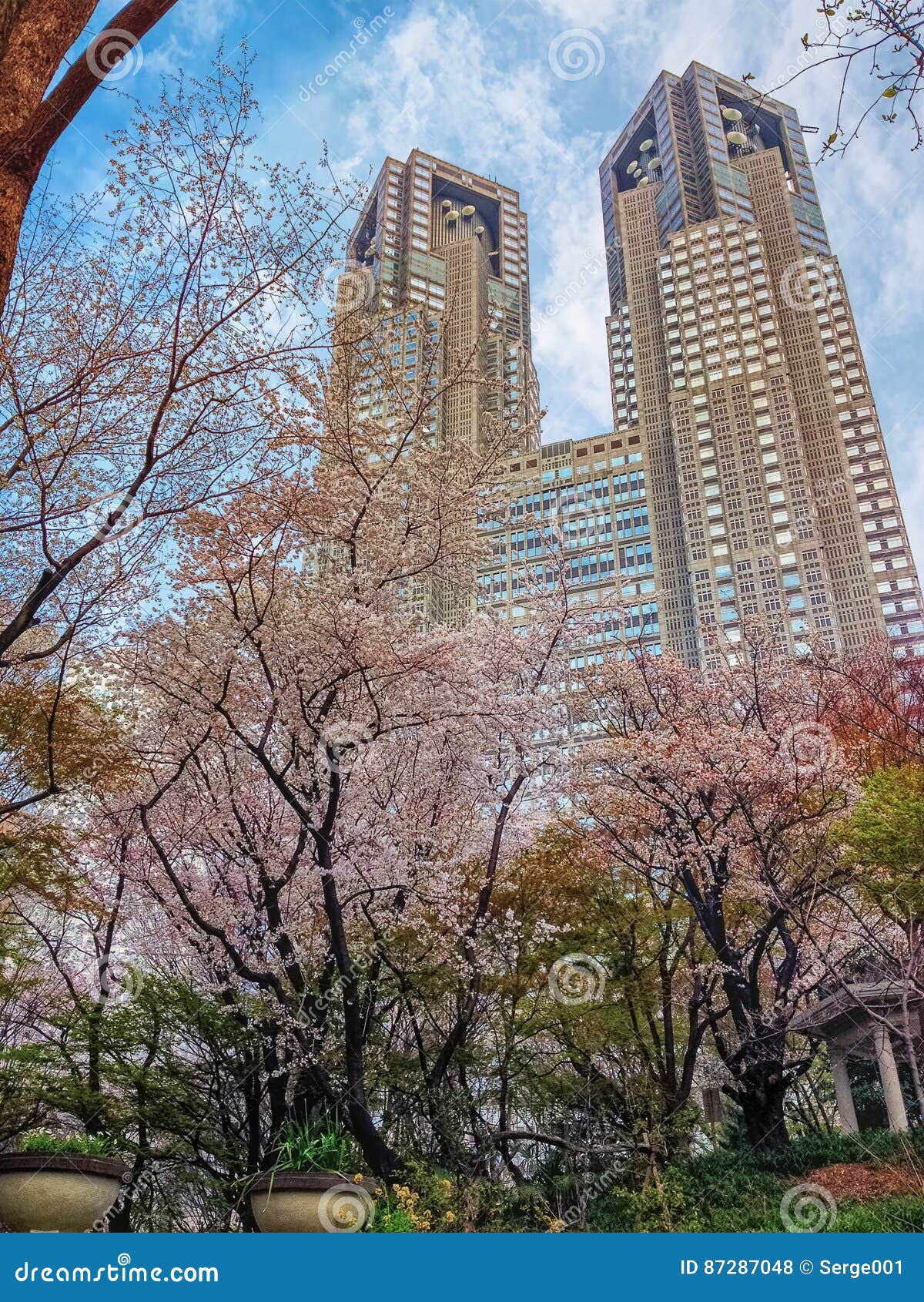 Shinjuku Chuo Park in Springtime Stock Photo - Image of japanese, green ...