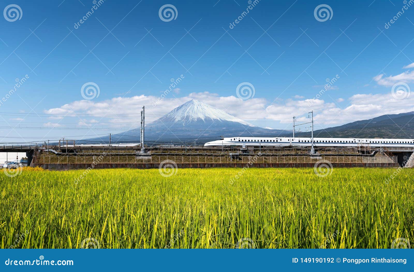 Shinkansen or Bullet Train with Rice Field and Fuji Mountain Stock ...