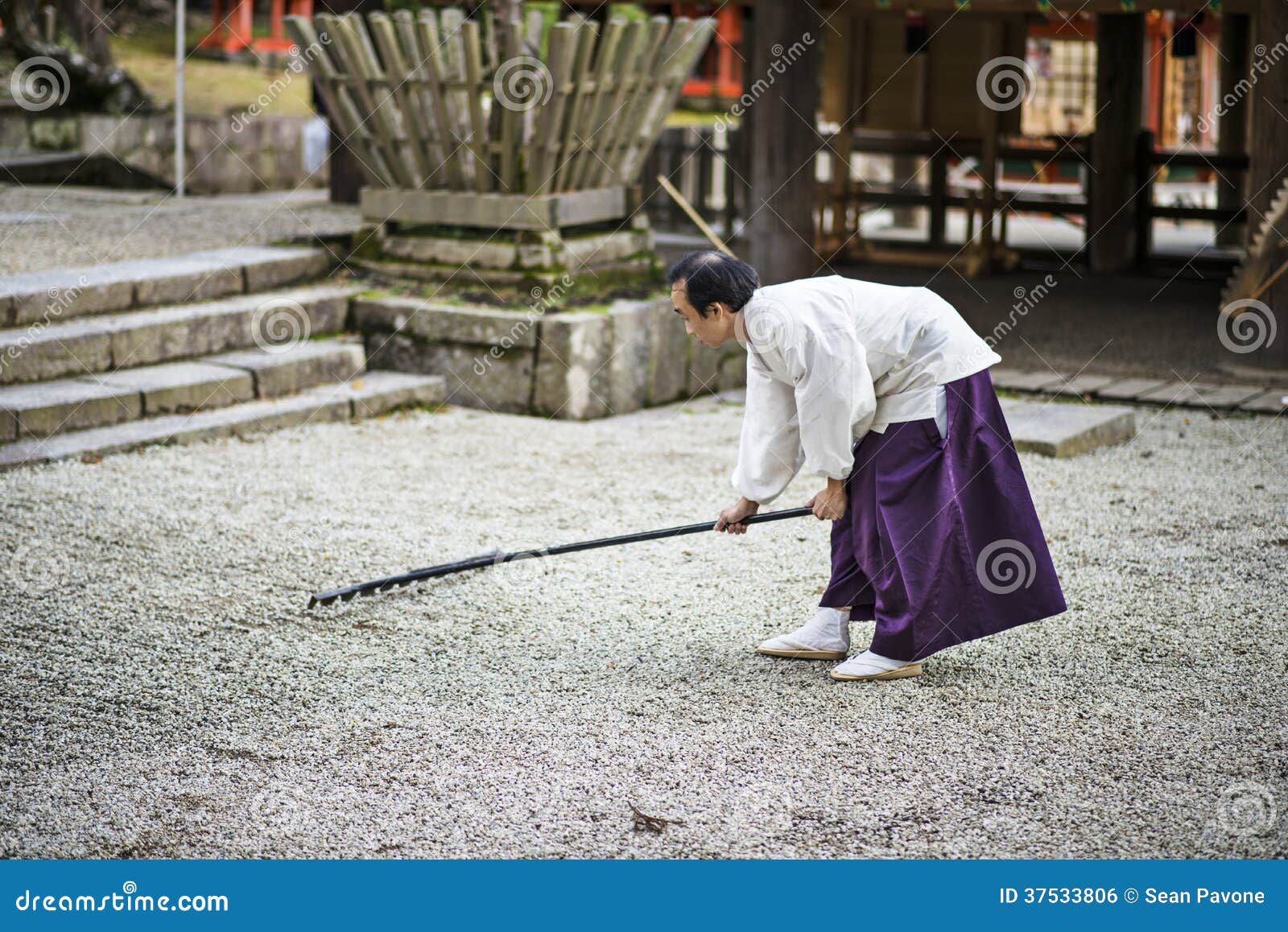 Shinto Priest Attending Zen Garden Editorial Photo - Image of japanese ...