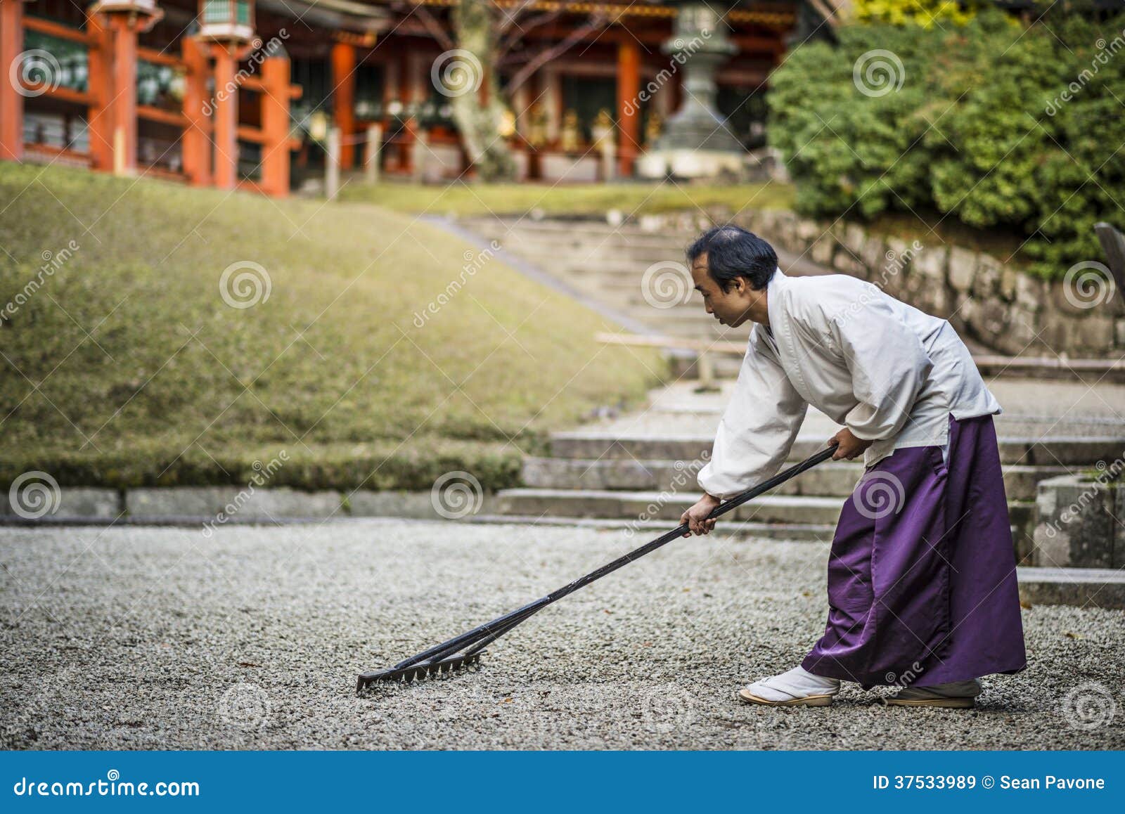 Shinto Priest Attending Zen Garden Editorial Stock Image - Image of ...