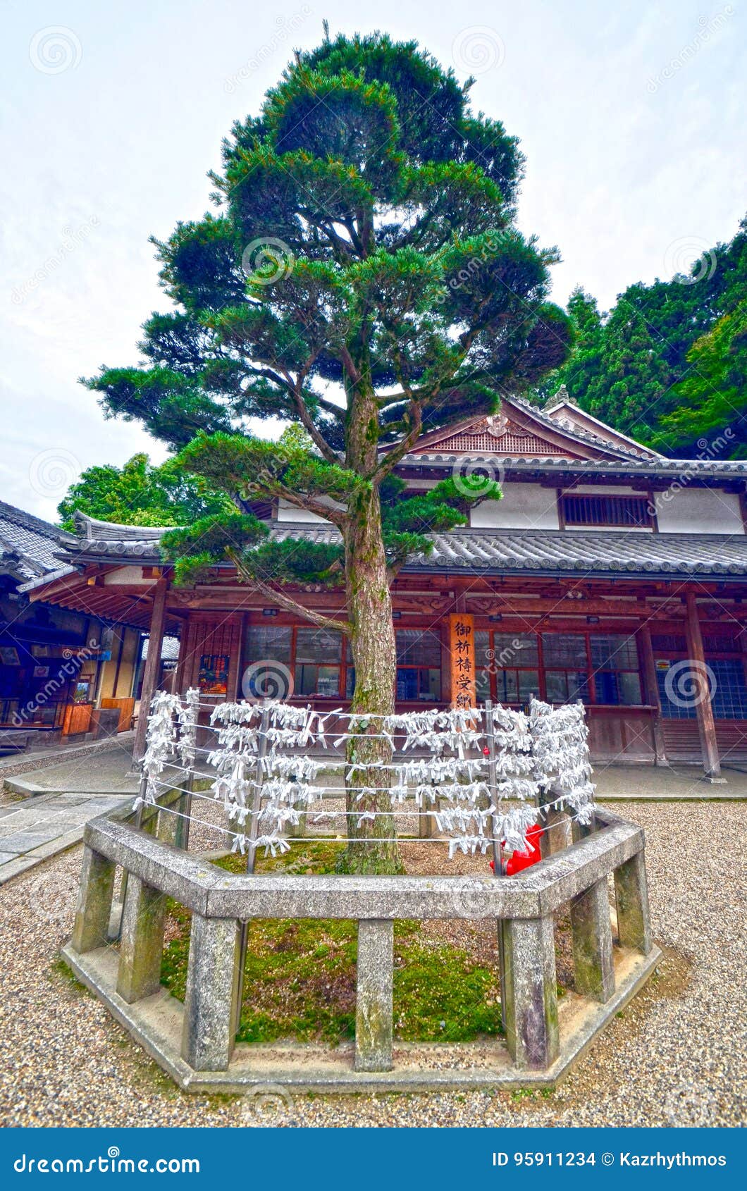 A Shinto shrine and tree stock photo. Image of torii - 95911234