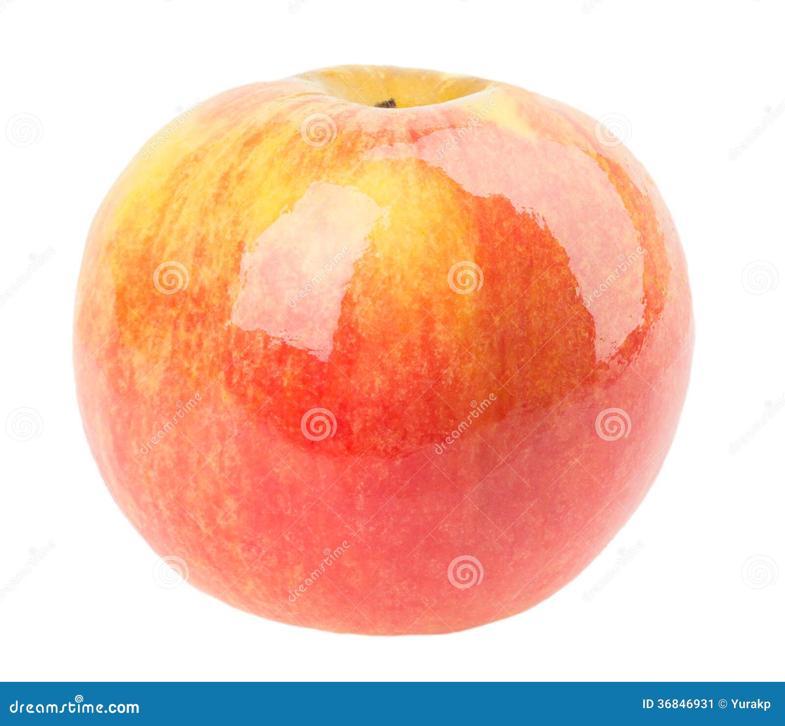 Shiny Apple on White Background Stock Image - Image of snack ...