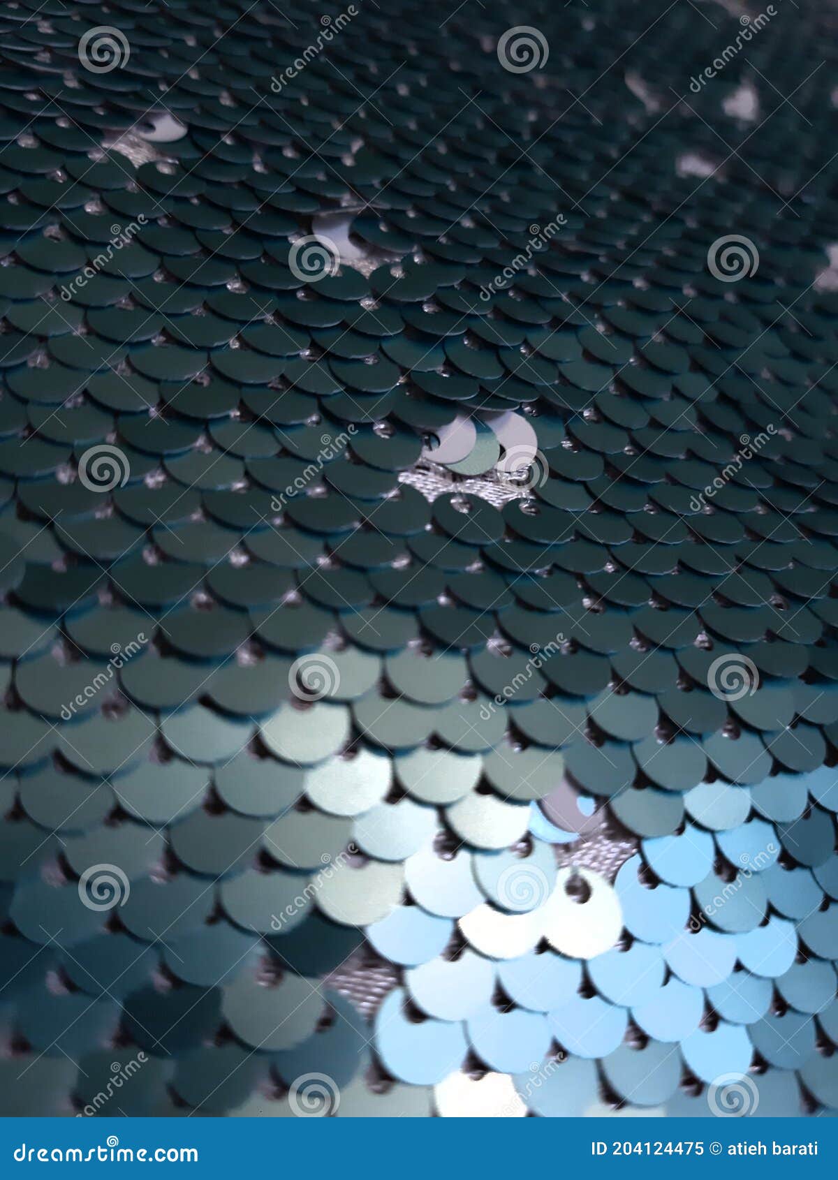 Shiny and beautiful scales stock image. Image of clothing - 204124475