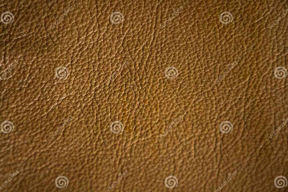 Shiny brown leather stock image. Image of work, upholstered - 251379713