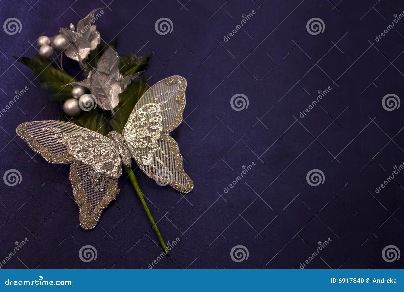 Shiny Butterfly stock photo. Image of plate, silver, christmas - 6917840