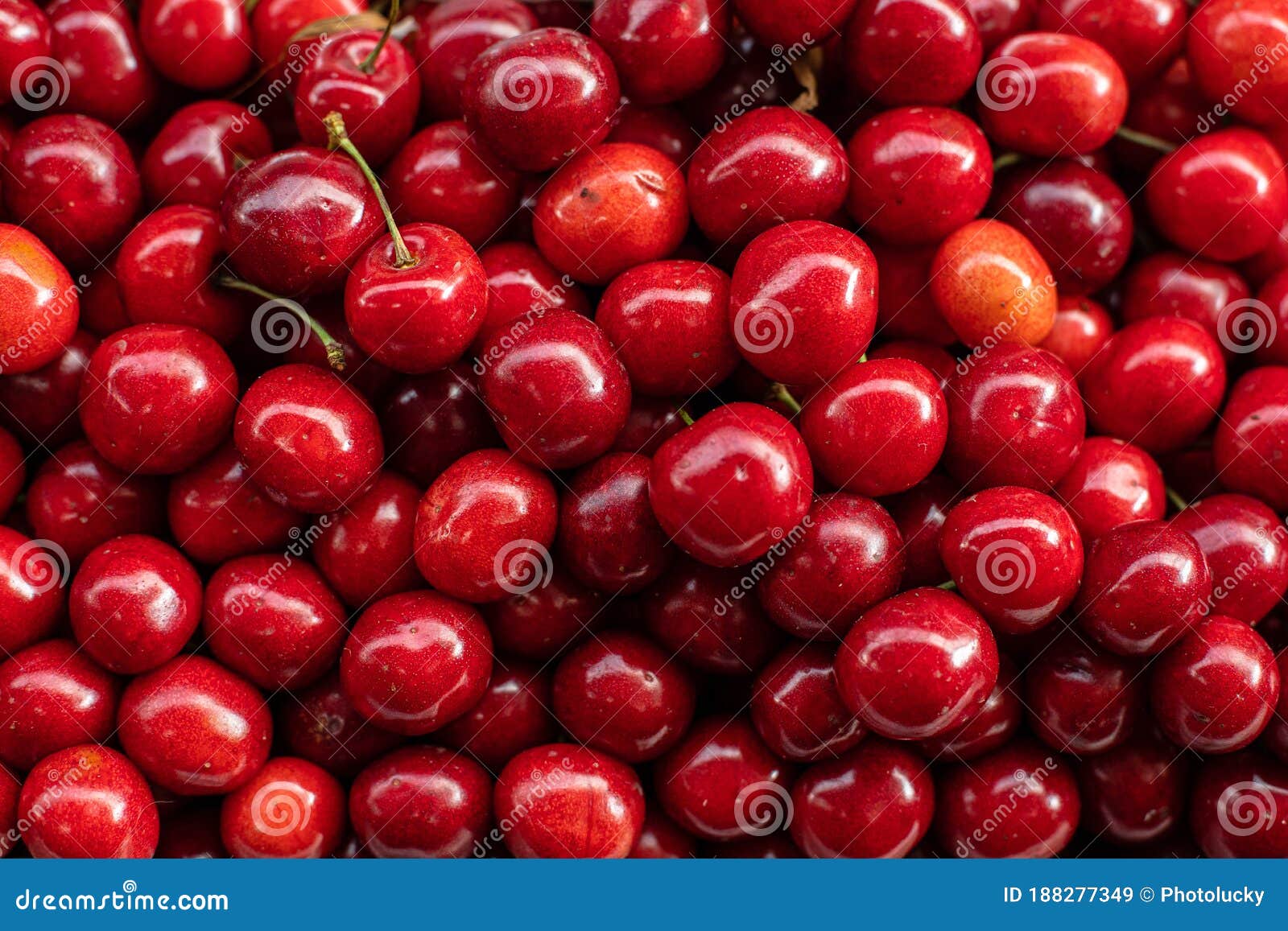 Cherries Fresh Shiny Cherries Cherry Background, Ripe Beautiful Fresh ...