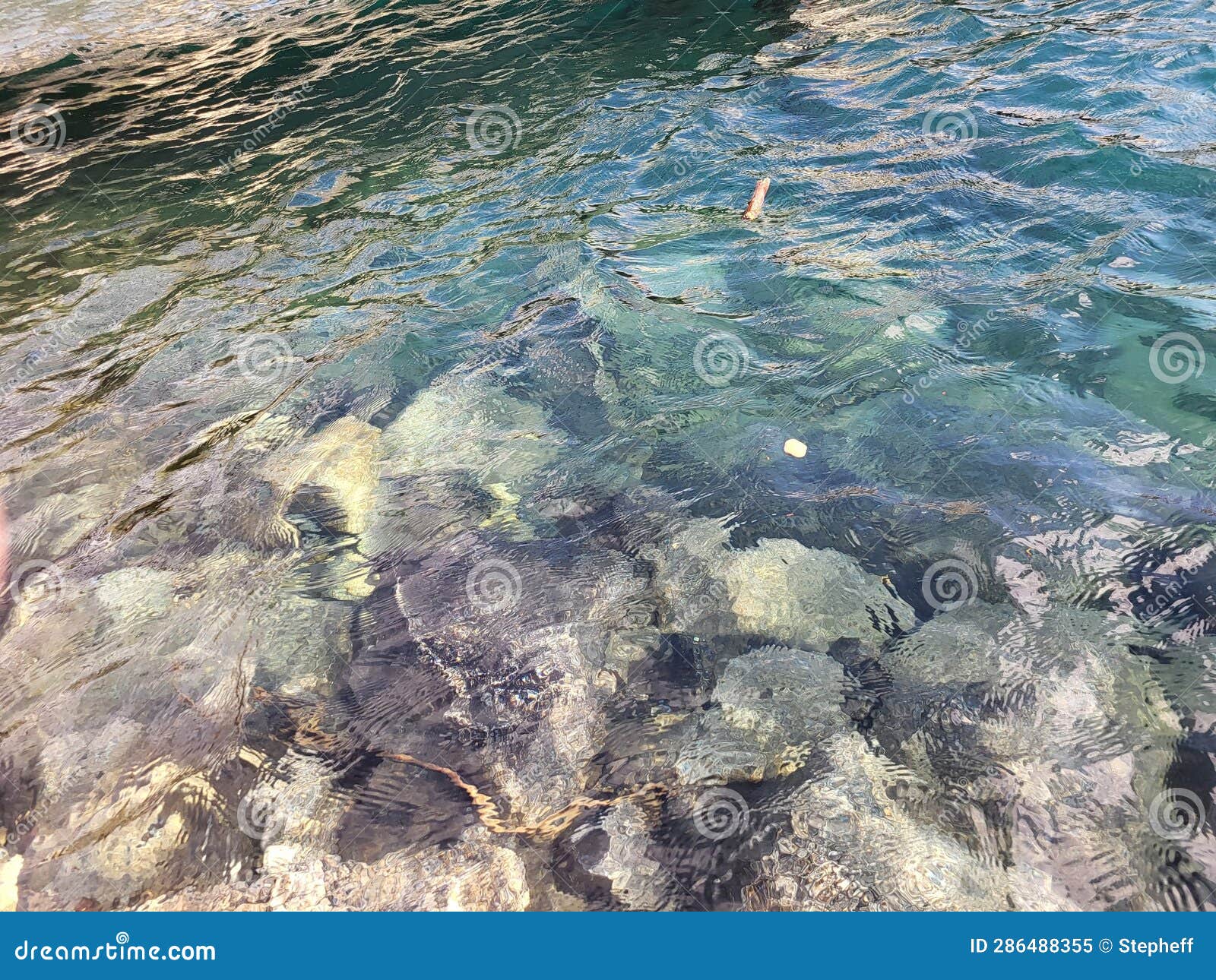 Shiny Clear Blue Water Rocks Stock Image - Image of shiny, water: 286488355