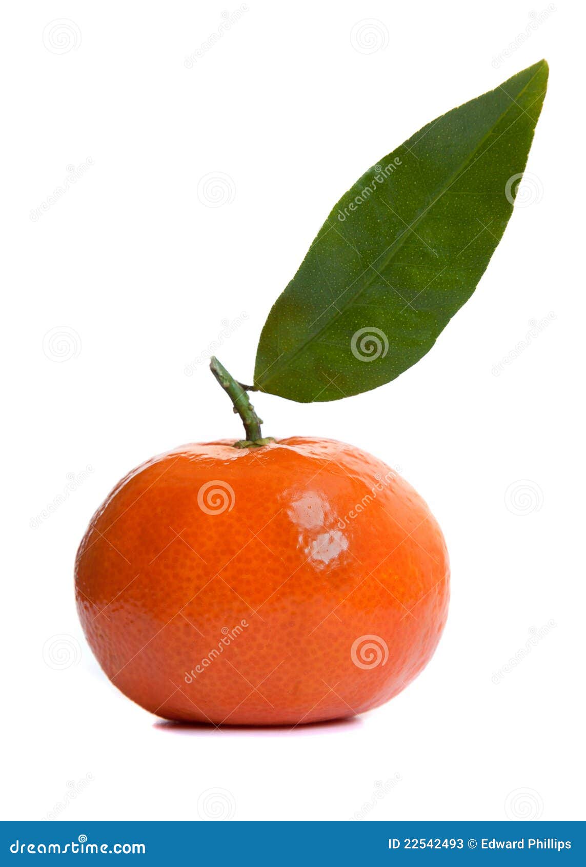 125,221 Shiny Fruit Photos - Free & Royalty-Free Stock Photos from ...