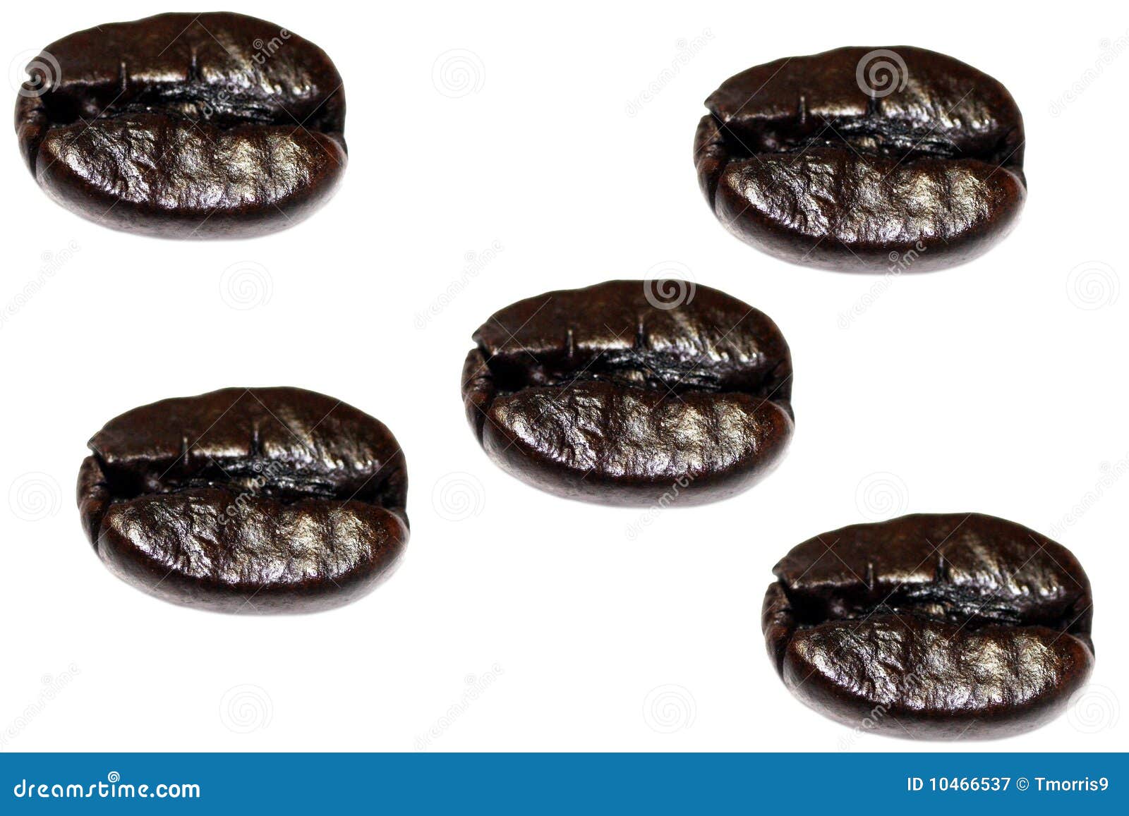 Shiny coffee beans stock image. Image of shiny, aroma - 10466537