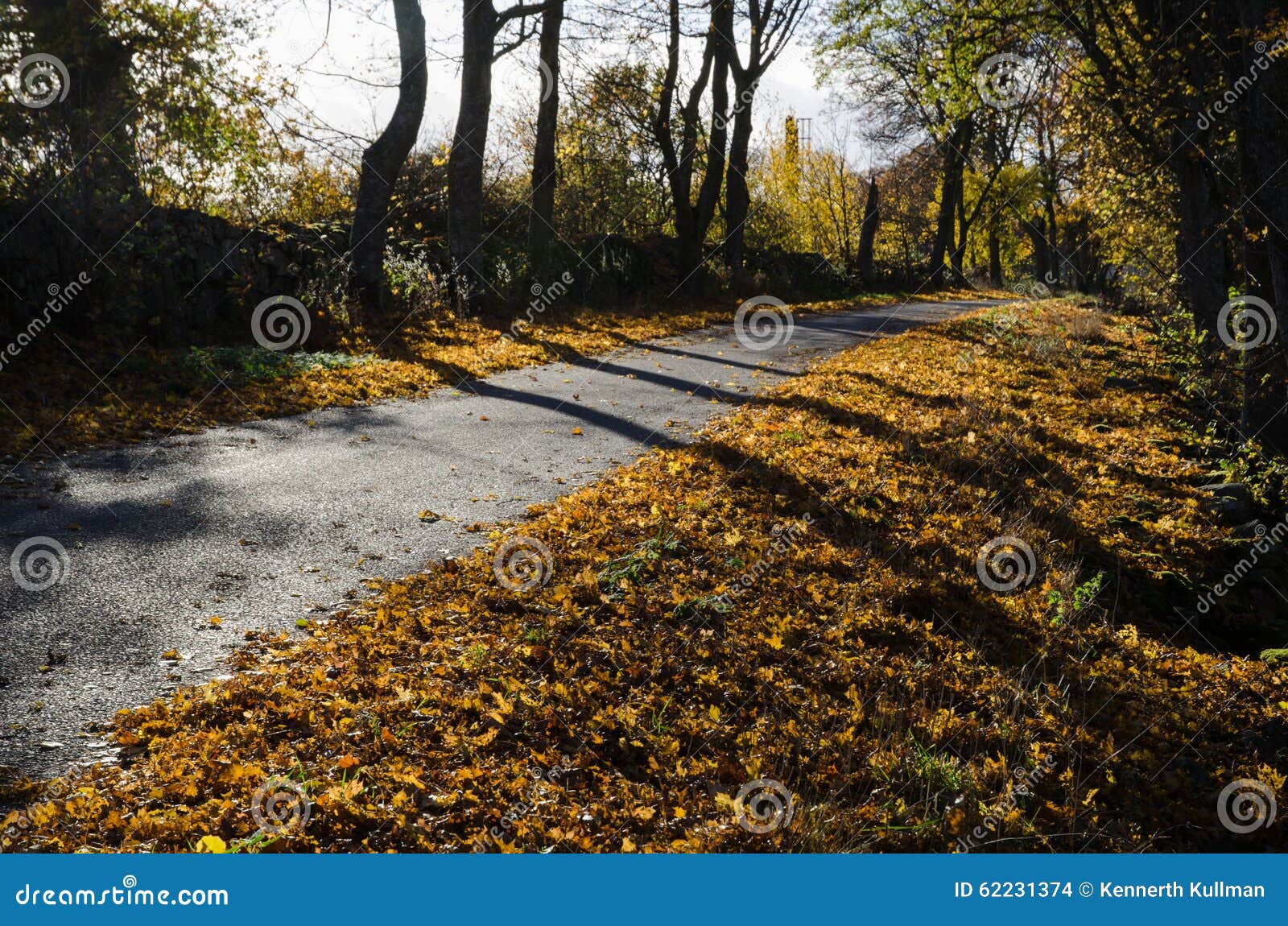 Shiny colorful road stock photo. Image of fall, peaceful - 62231374