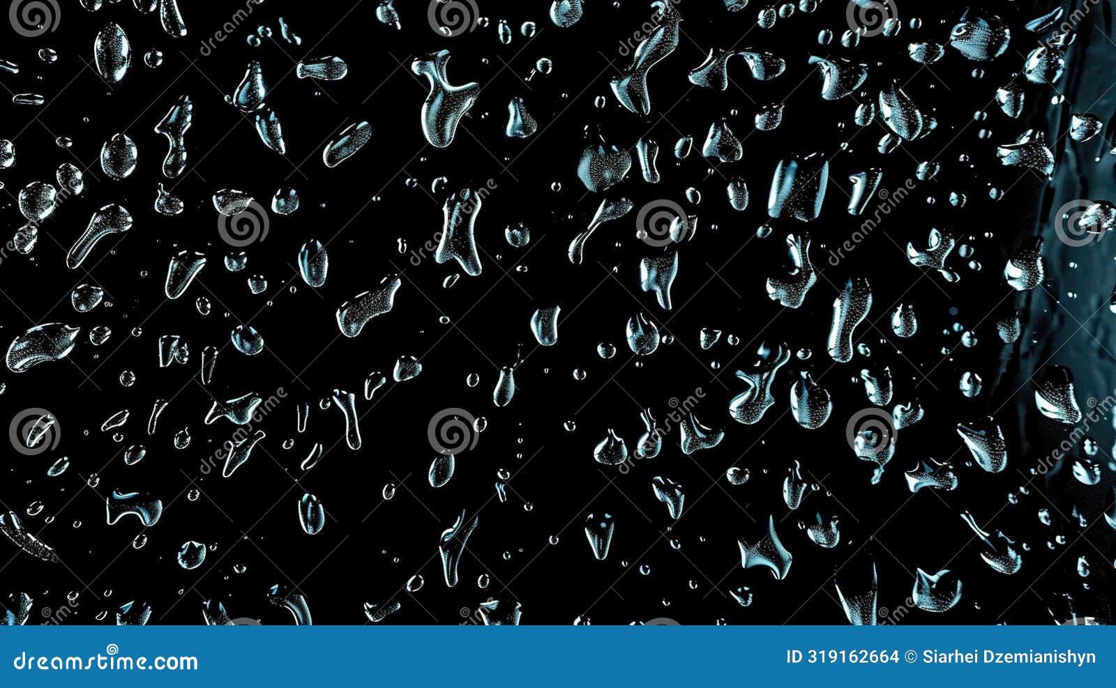 Shiny Drops of Water on a Dark Surface: Reflection and Refraction of ...