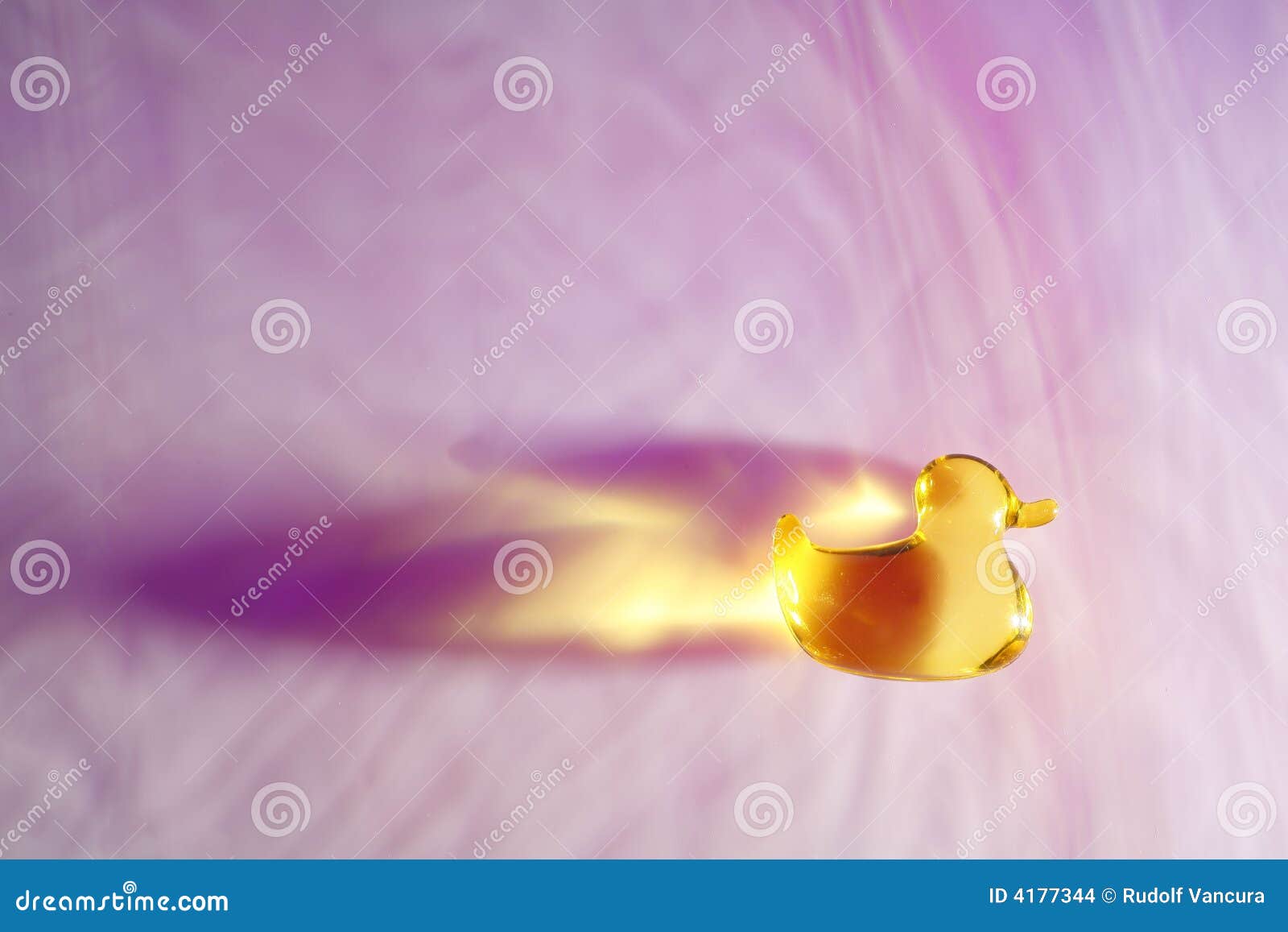 Shiny Duck stock photo. Image of skincare, brown, surface - 4177344