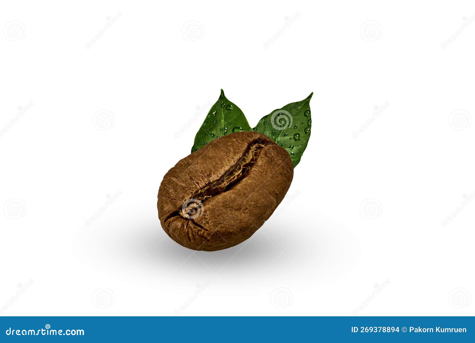 Shiny Fresh Roasted Coffee Beans with Leaves Isolated on White Stock ...