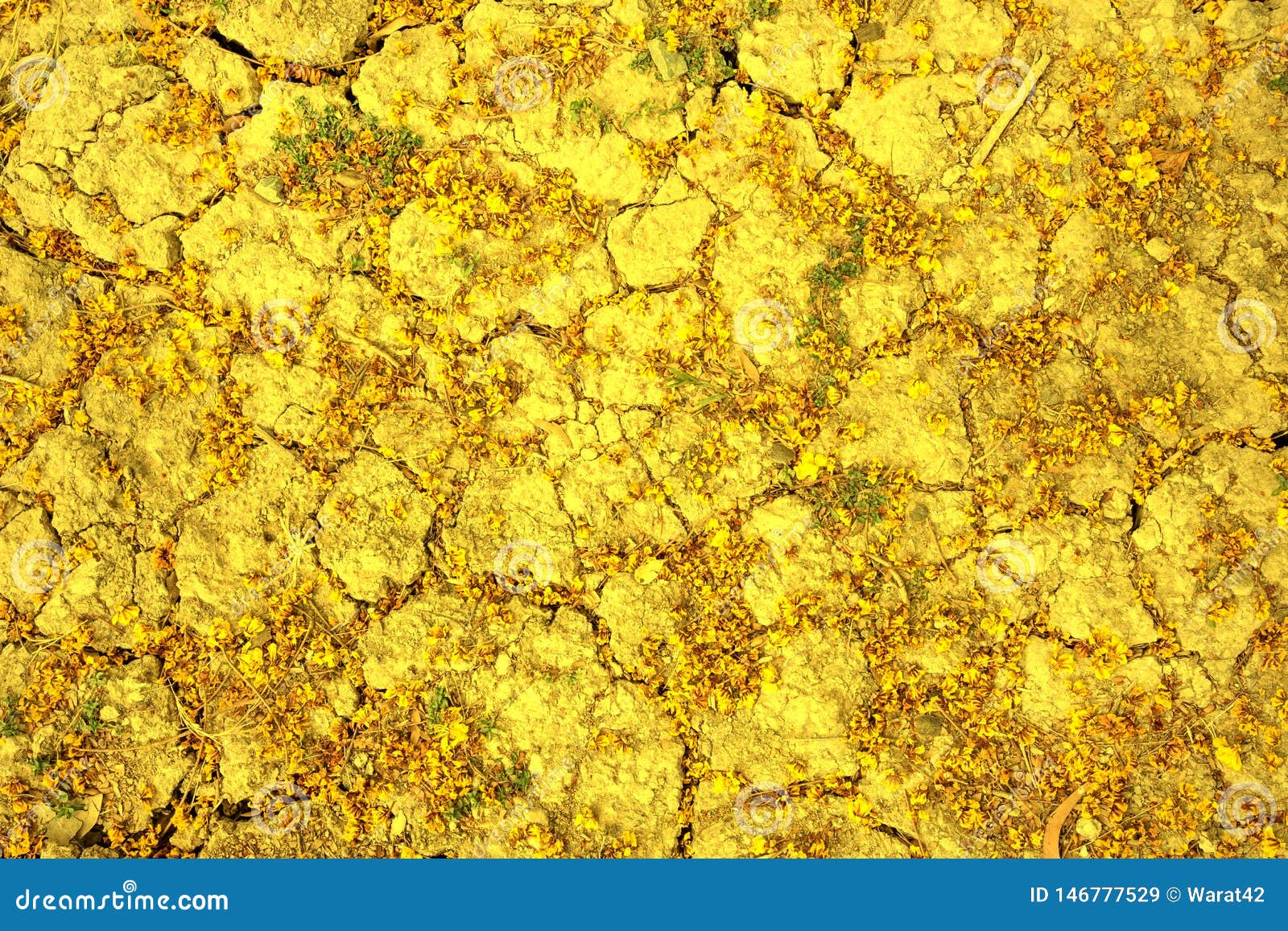 Shiny Gold Ground Texture,abstract Background,golden Pattern Stock ...