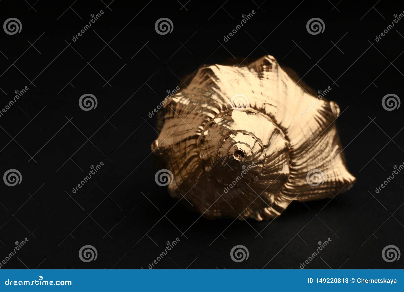 Shiny Gold Seashell on Black Background Stock Photo - Image of closeup ...
