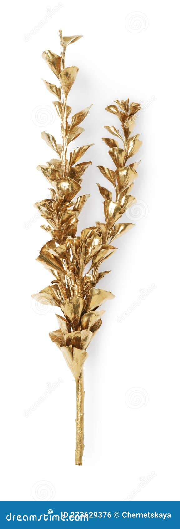 Shiny Golden Branch with Leaves on White Background, Top View. Decor ...