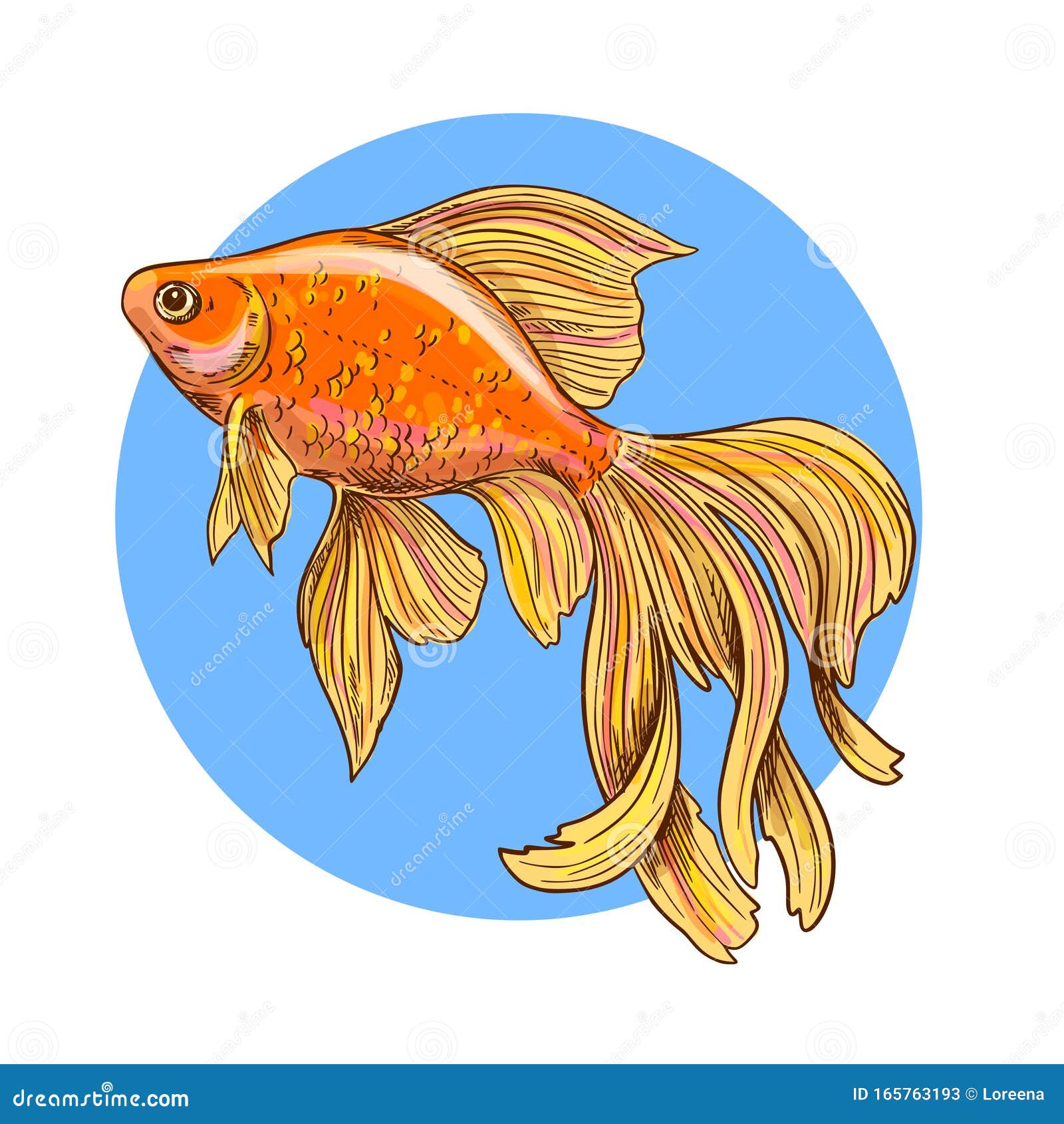 Goldfish In A Blue Fishbowl, Hand Drawn Sketch Vector Illustration ... Goldfish In A Blue Fishbowl, Hand Drawn Sketch Vector Illustration ...