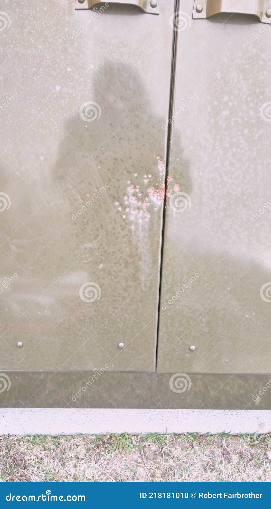 A Shiny Green Garbage Bin in the Park Stock Photo - Image of shiny ...