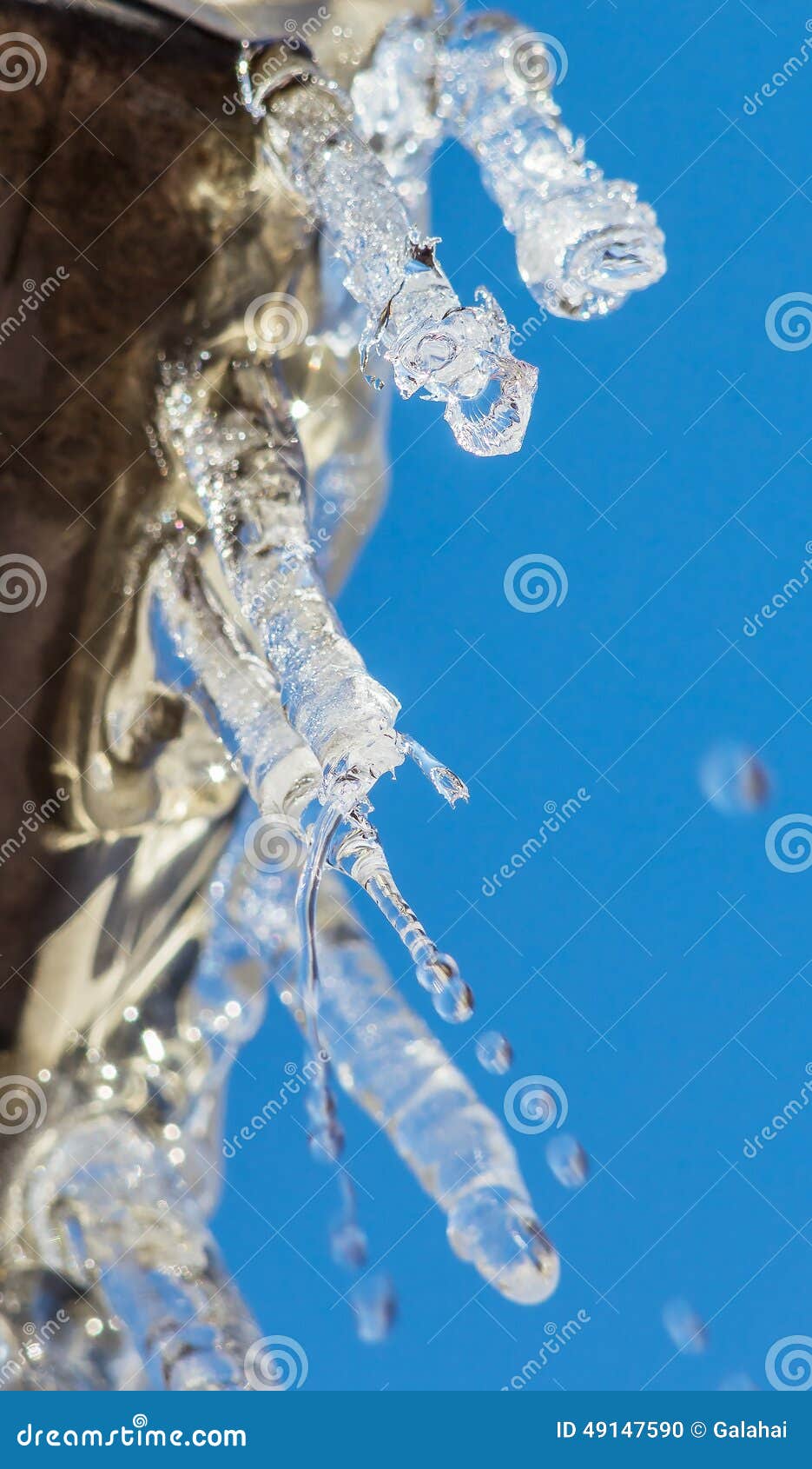 Shiny Icicles and Falling Droplets Stock Photo - Image of spring, drop ...