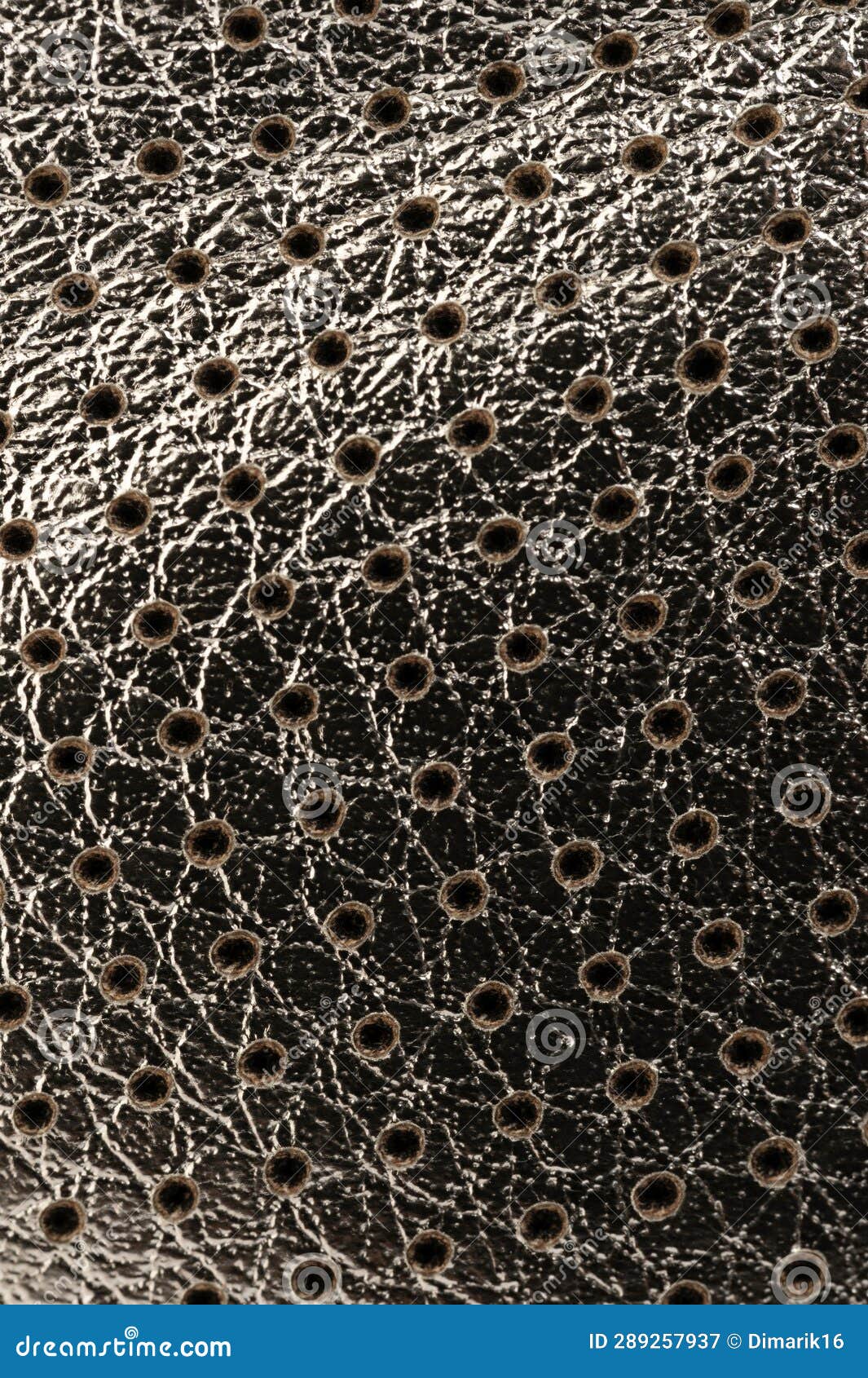 Shiny Metallic Leather Texture Stock Image - Image of texture, hole ...