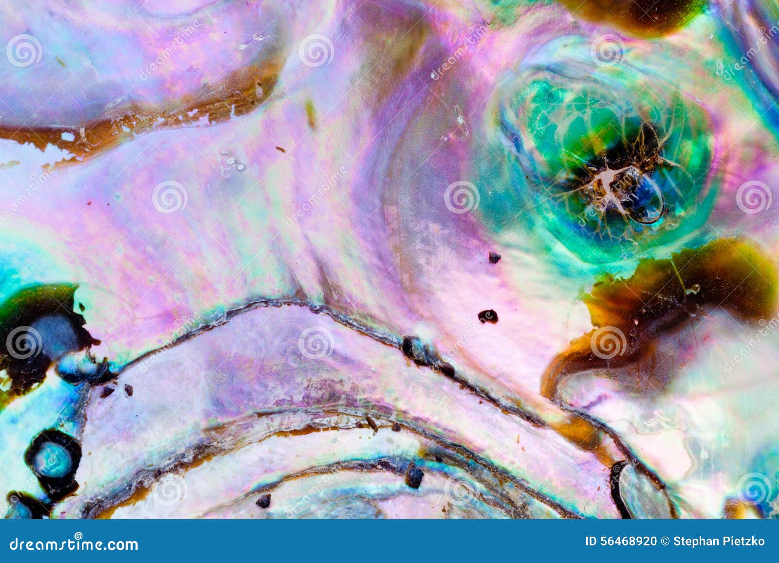 Shiny Nacre Of Paua Or Abalone Shell Background Stock Photography ...