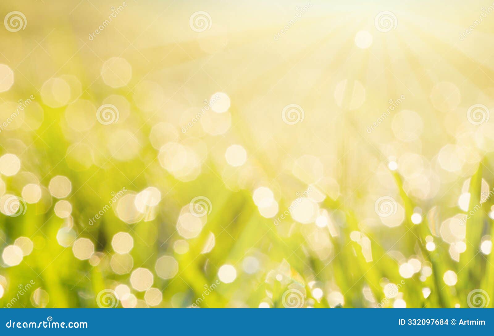 Shiny Nature Background with Abstract Sunlight Glitter and Blurred ...