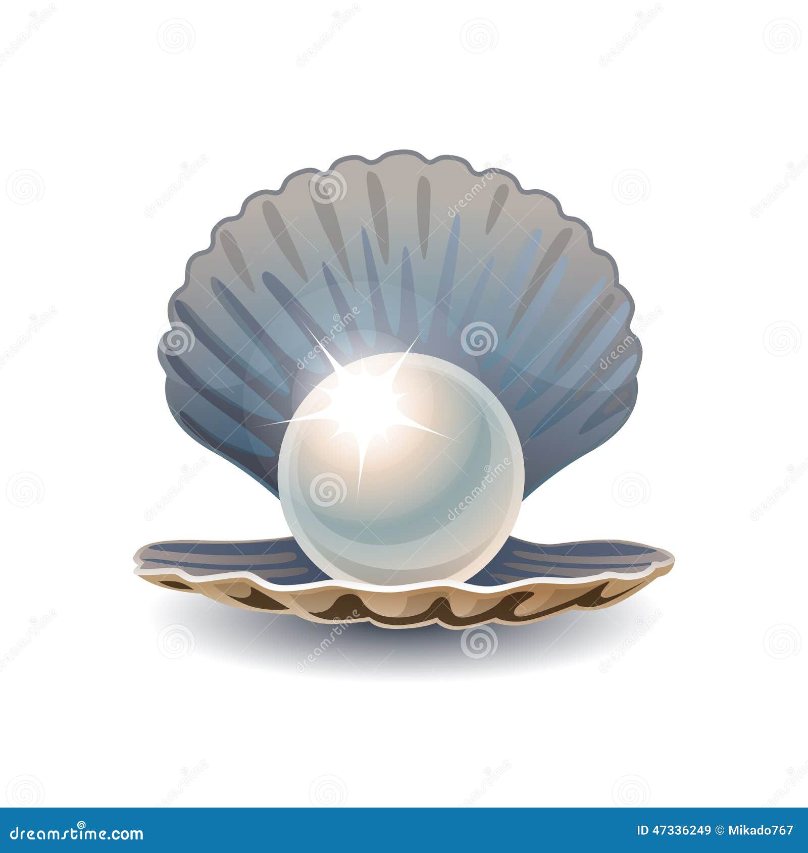 Shiny Pearl in Opened Seashell Stock Vector - Illustration of nature ...