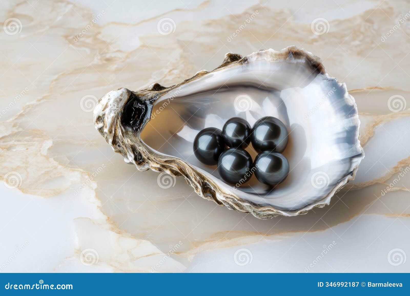 Shiny Pearls in Open Oyster Shell Stock Image - Image of collectible ...