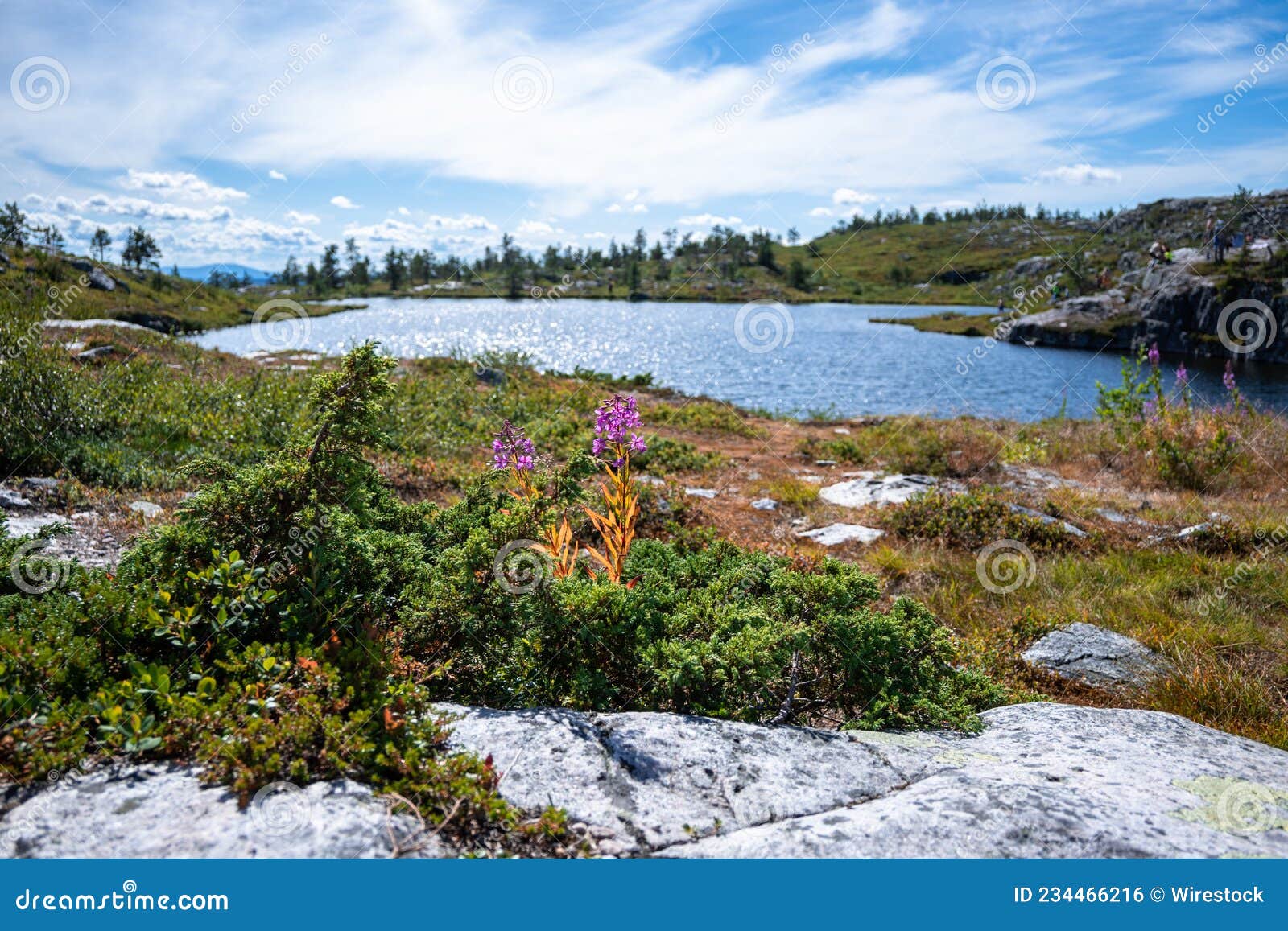 Shiny Pond Surrounded by Hills and Trees Under a Cloudy Sky Stock Photo ...