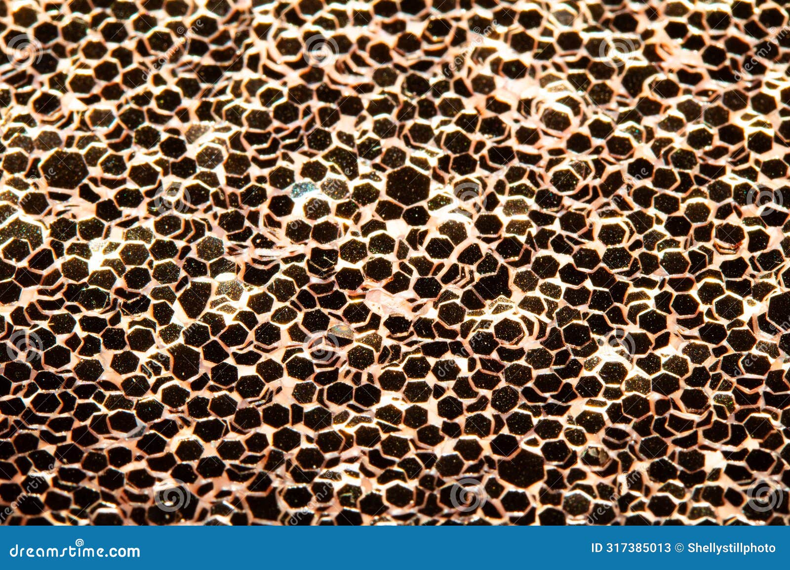 Shiny Real Glitter Backdrop with Sparkling Texture Stock Image - Image ...