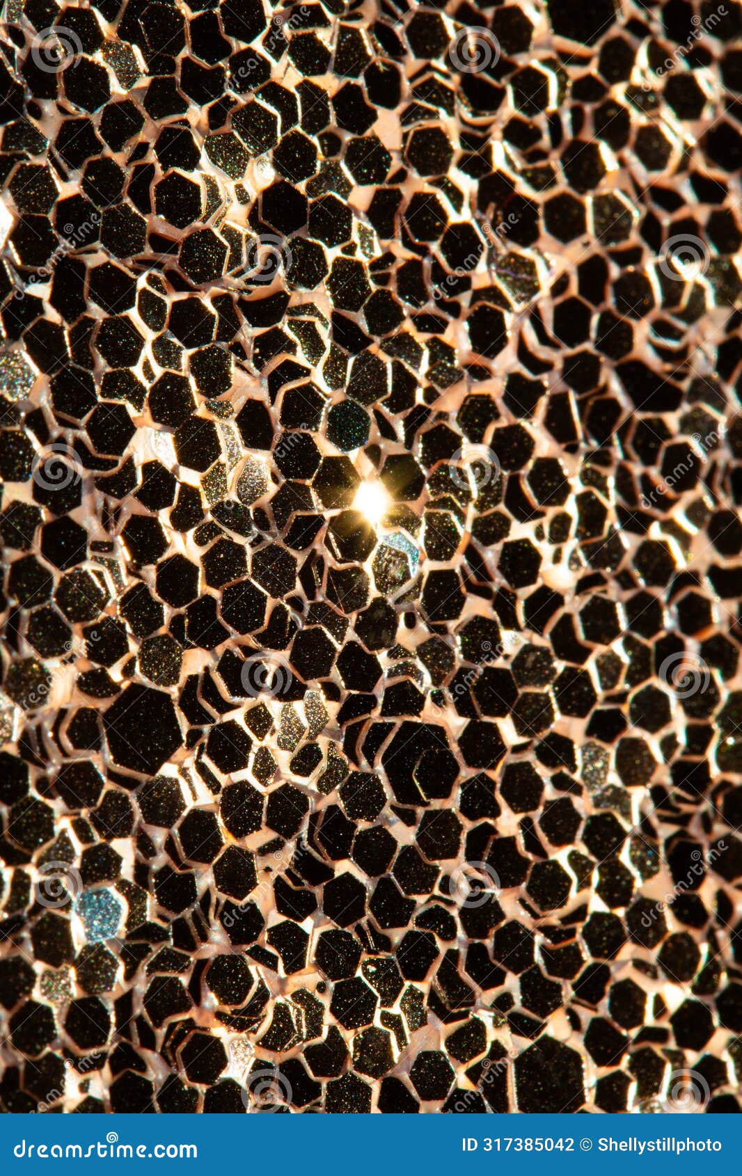 Shiny Real Glitter Backdrop with Sparkling Texture Stock Photo - Image ...