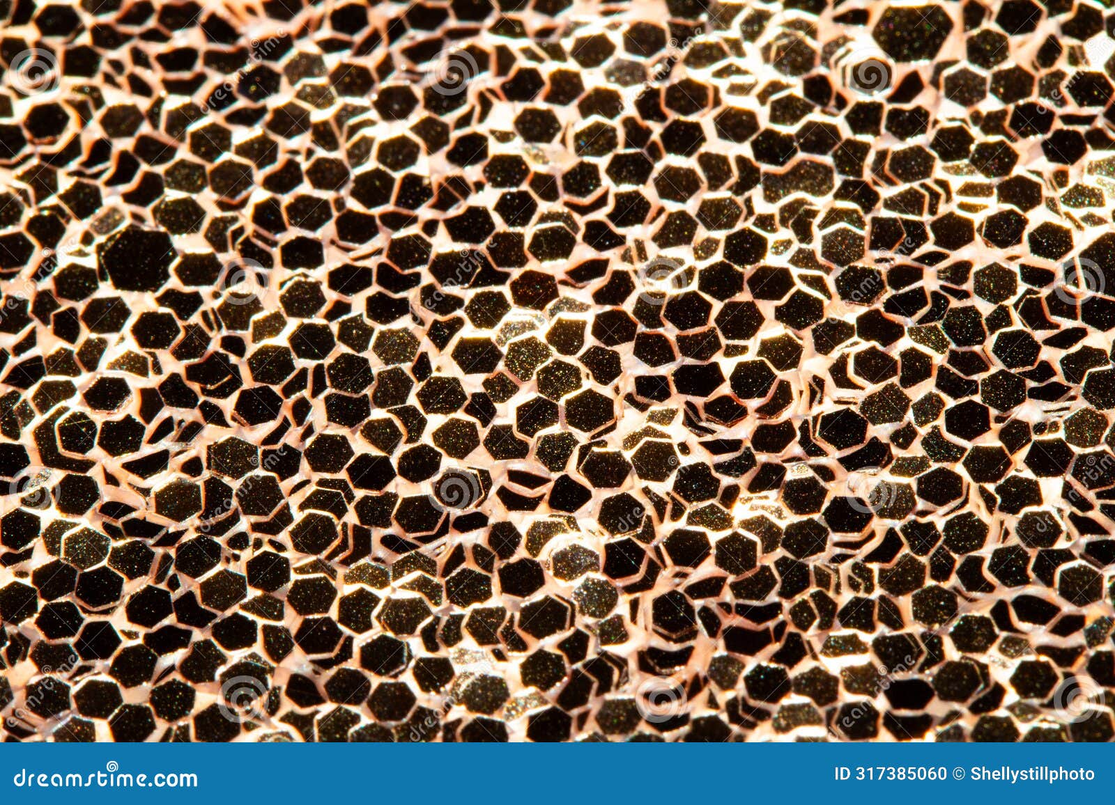 Shiny Real Glitter Backdrop with Sparkling Texture Stock Photo - Image ...
