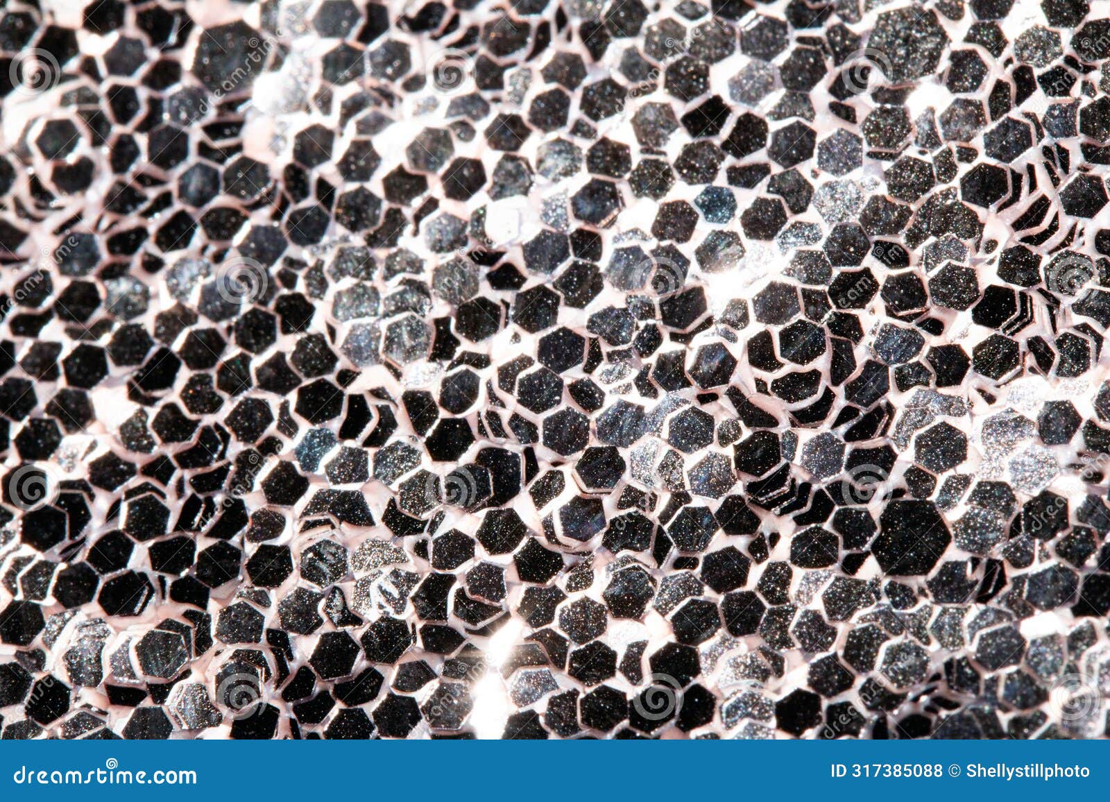 Shiny Real Glitter Backdrop with Sparkling Texture Stock Photo - Image ...