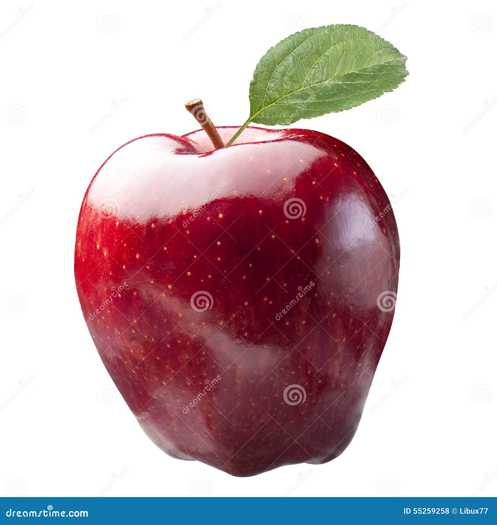 Shiny Red Apple Leaf Isolated Stock Photo - Image of refreshment ...