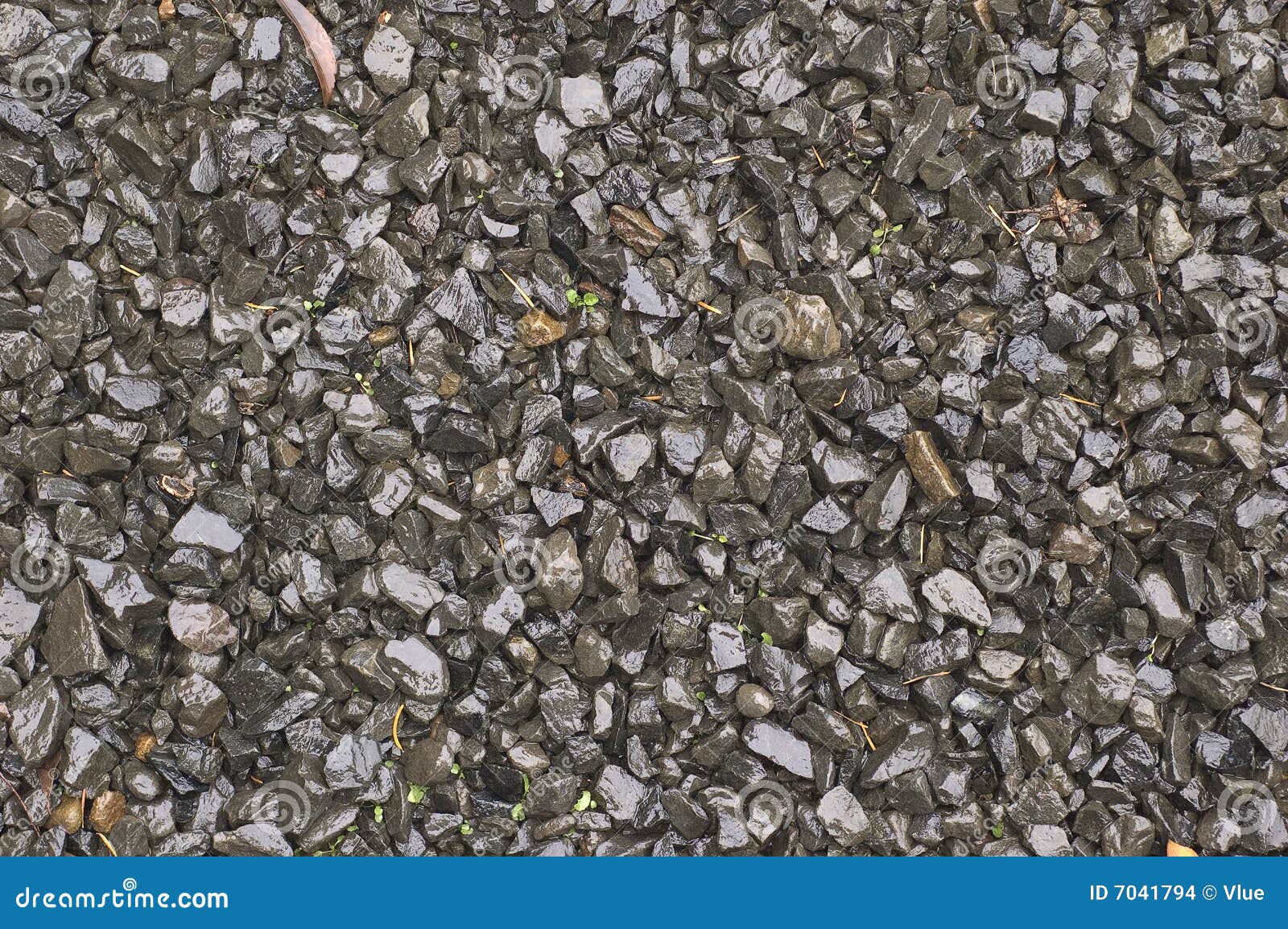 Shiny rocks texture stock photo. Image of reflecting, damp - 7041794