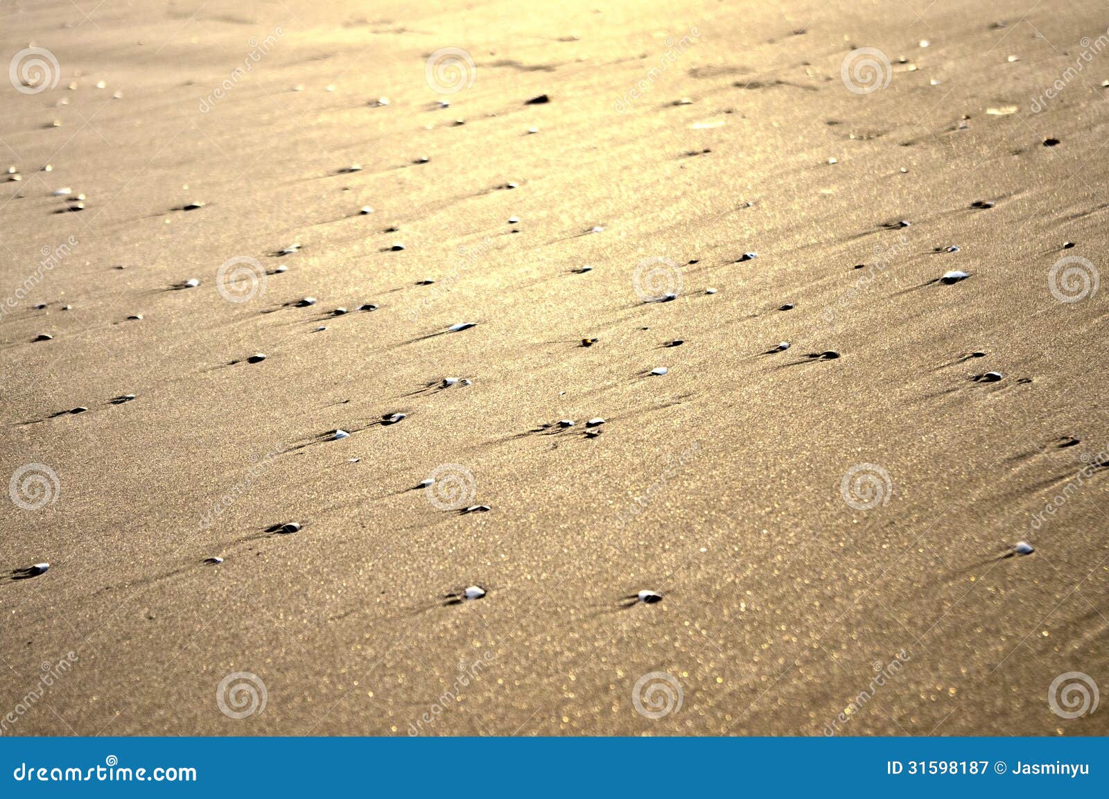 Shiny Sand texture stock image. Image of ocean, backround - 31598187