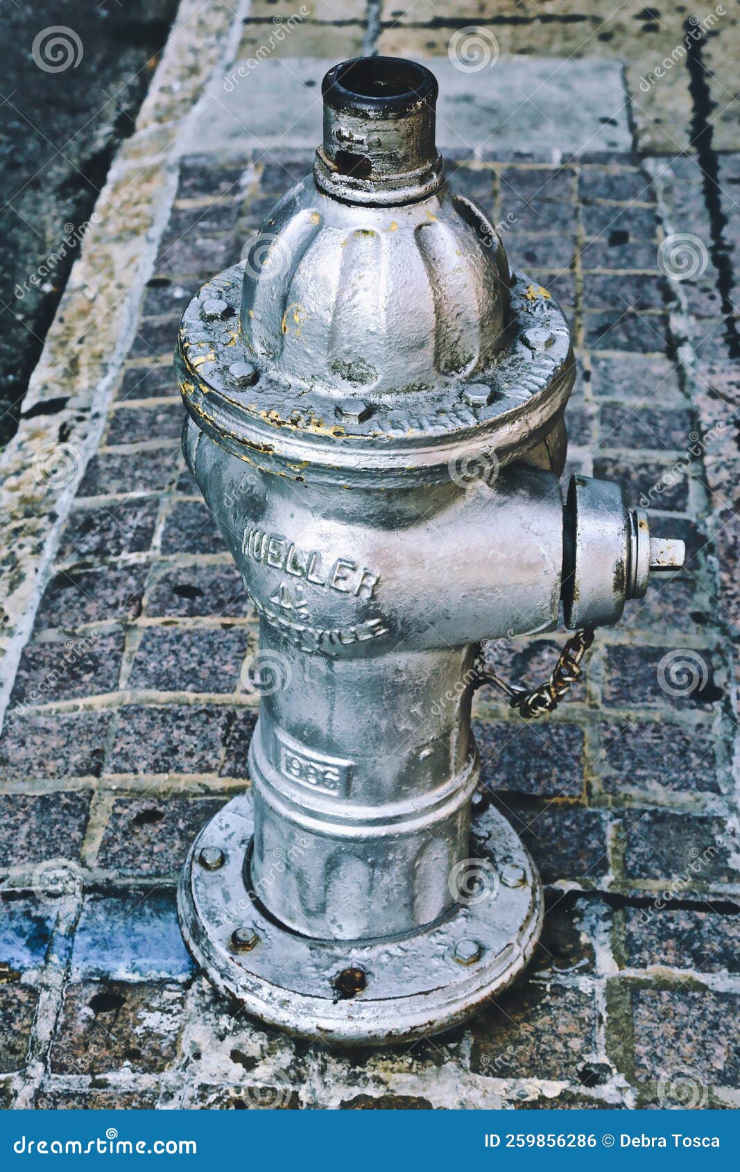 Silver Fire Hydrant Atlanta Georgia Stock Photo - Image of georgia ...