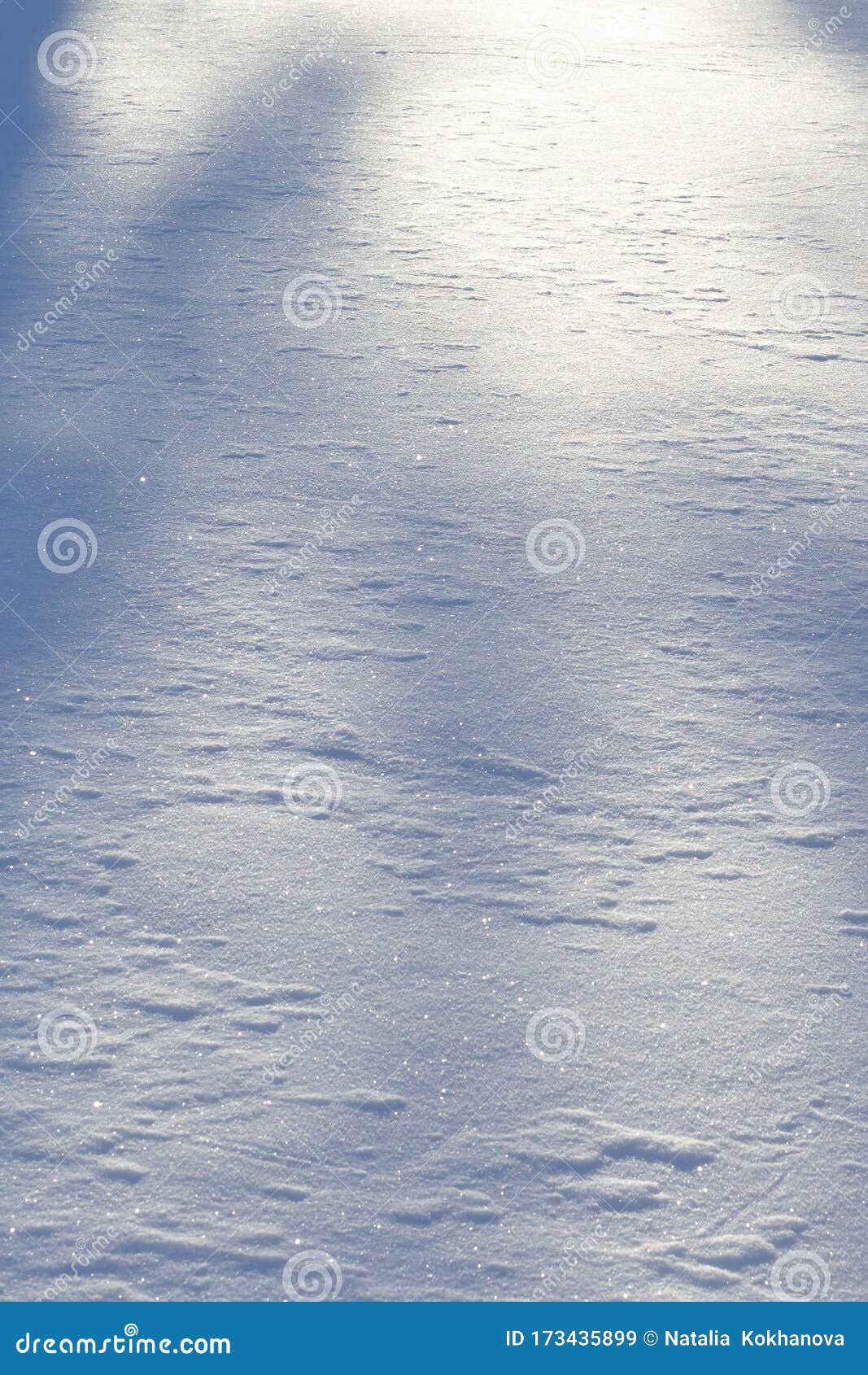 Shiny Snow with Shadow from Trees Stock Image - Image of frozen, shadow ...
