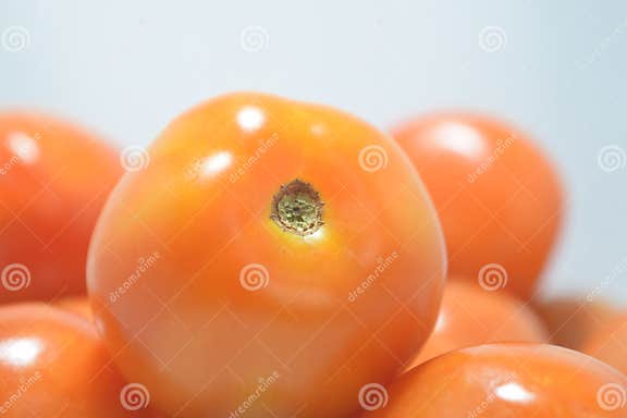 Shiny tomato stock photo. Image of fruit, macro, vegetable - 128029996