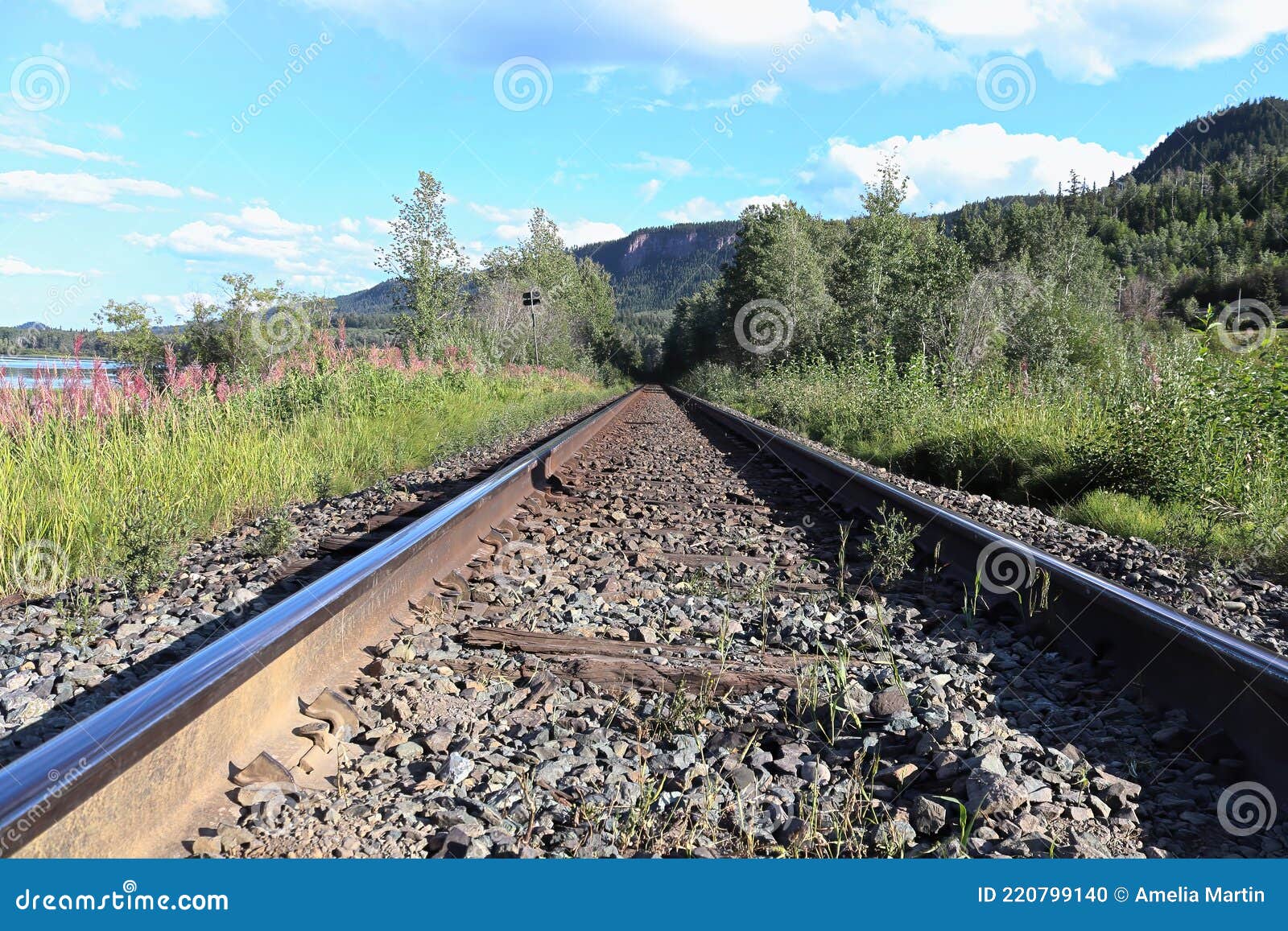 The Shiny Top View Of A Rail On A Train Track Royalty-Free Stock Image ...