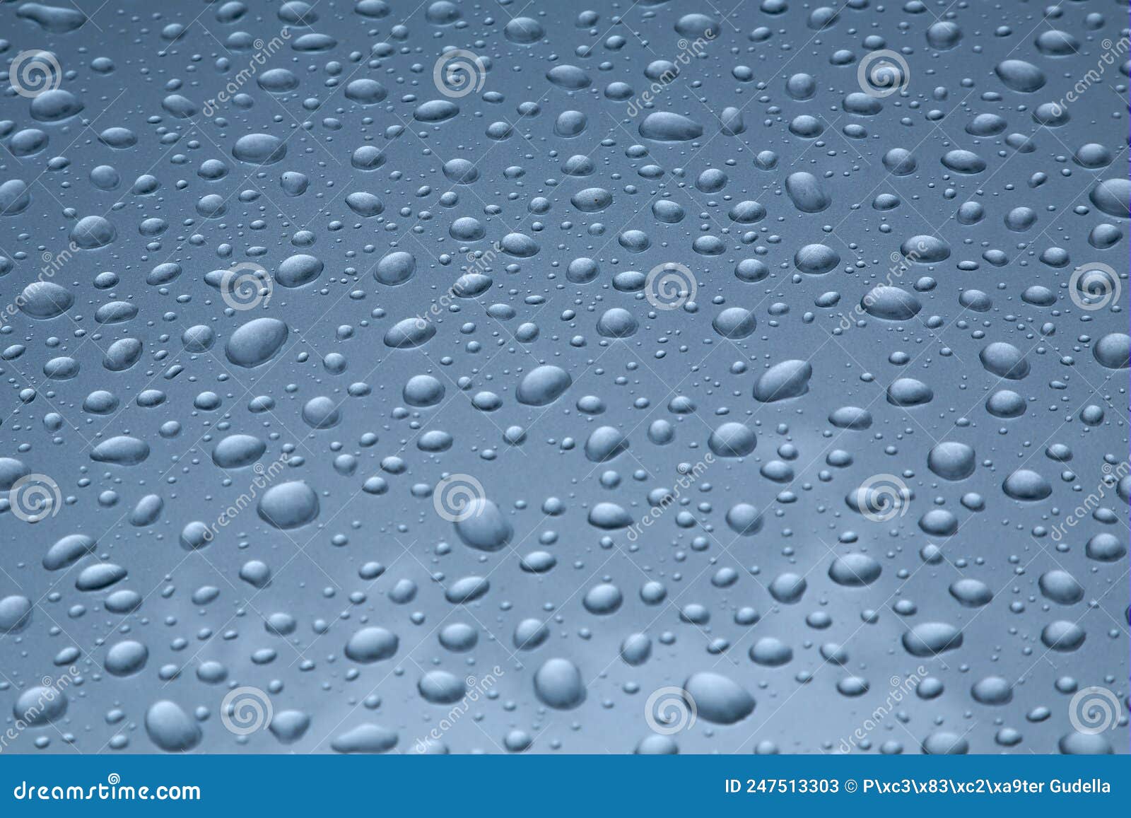 Shiny Water Droplets stock image. Image of bright, clear - 247513303