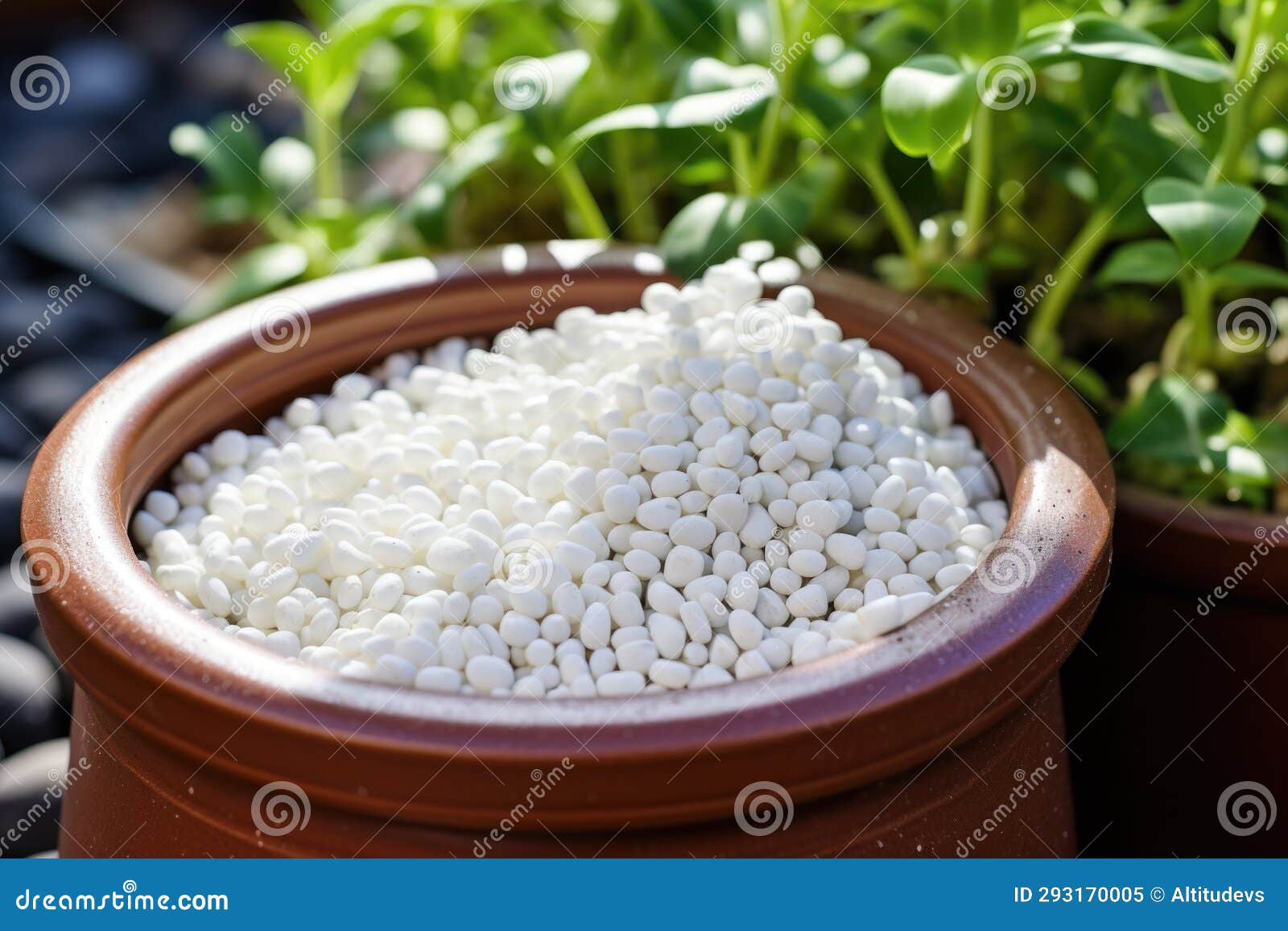 Perlite Texture On White Wall Paint Royalty-Free Stock Photography ...