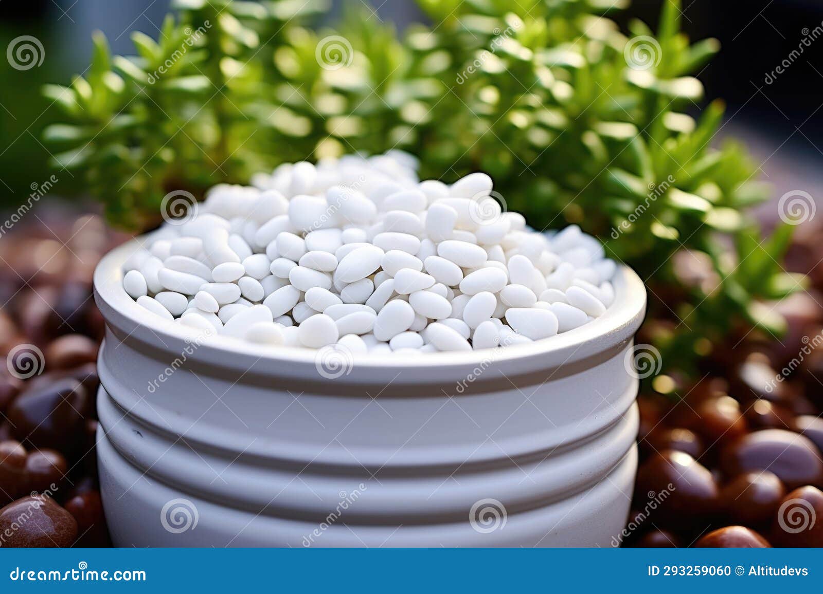 Shiny White Perlite Pebbles in a Pot Stock Photo - Image of pebbles ...