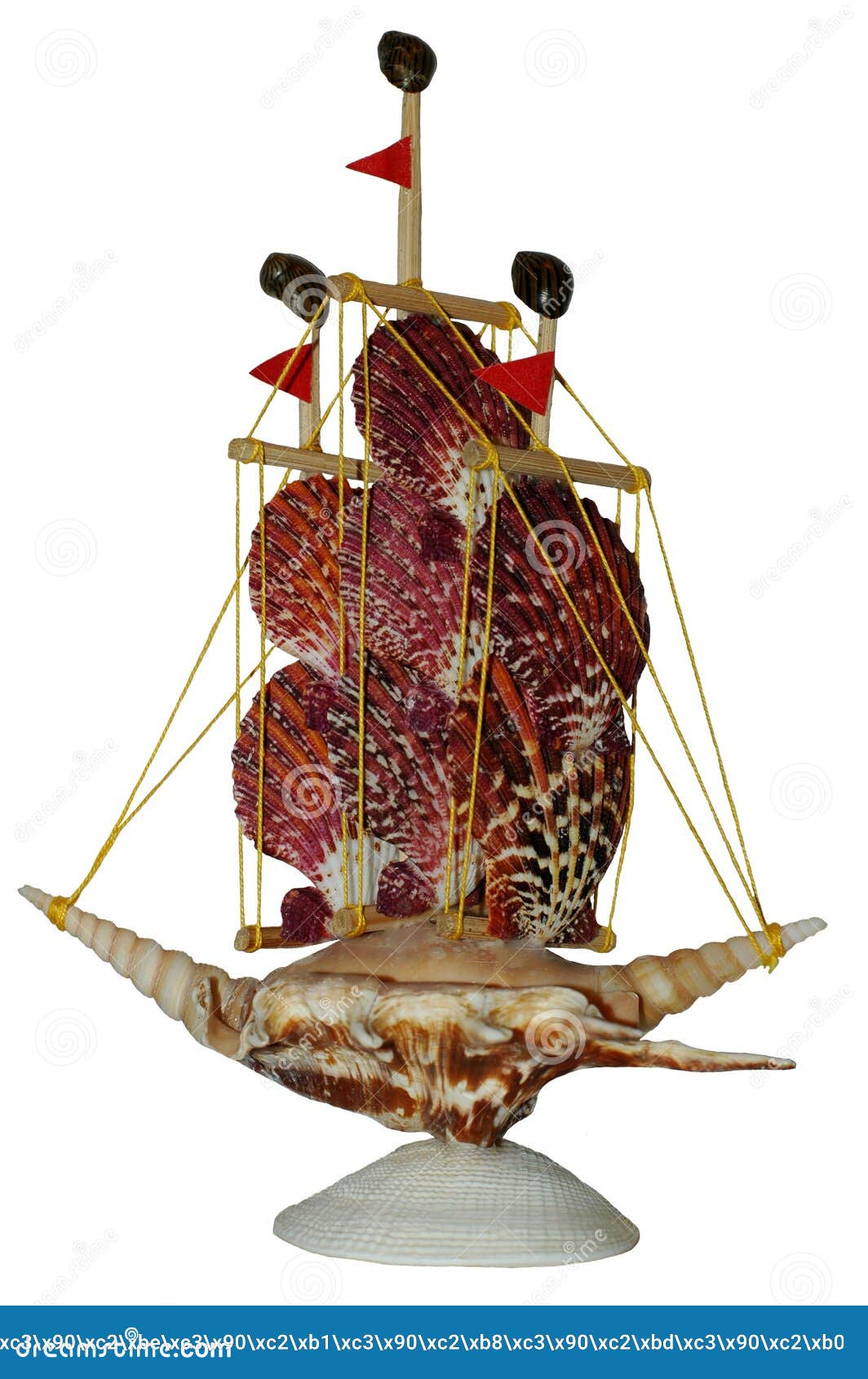 Ship stock image. Image of seashell, isolated, object - 6969061