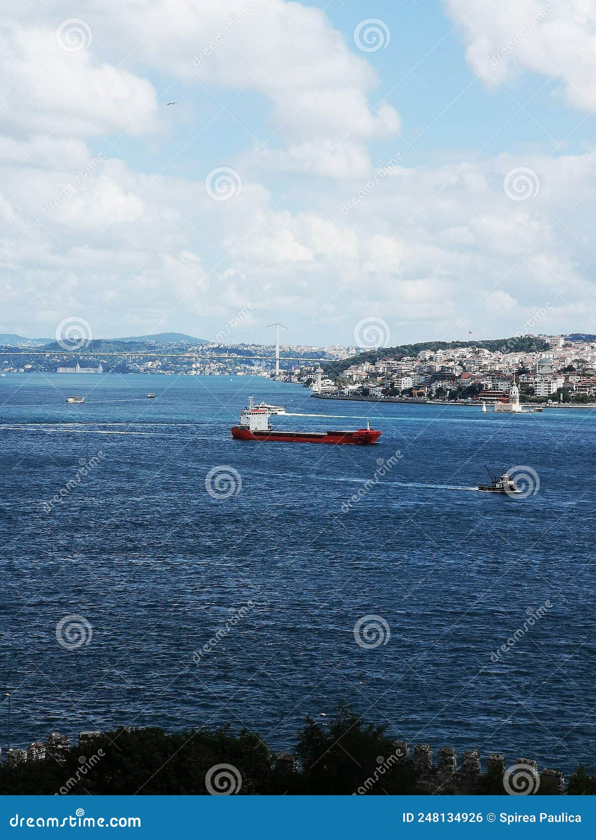 Ship on the Bosfor stock photo. Image of transit, marina - 248134926